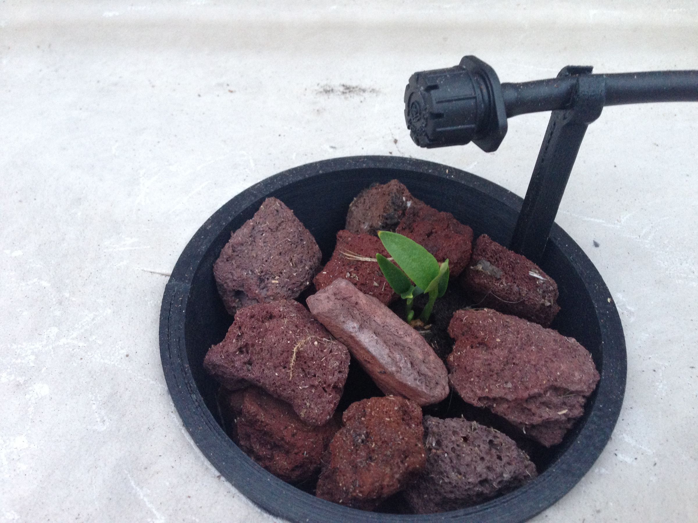 Small Scale Outdoor Solar Hydroponic System : 6 Steps (with Pictures ...