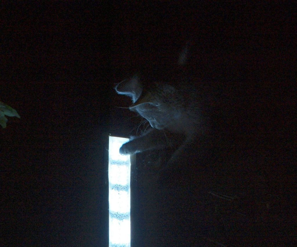 An Awesome LED PVC Pipe Light : 9 Steps (with Pictures) - Instructables