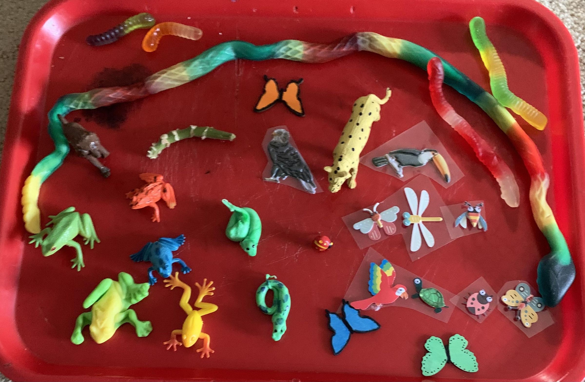 Tropical Rainforest Ecosystem Diorama : 13 Steps (with Pictures ...
