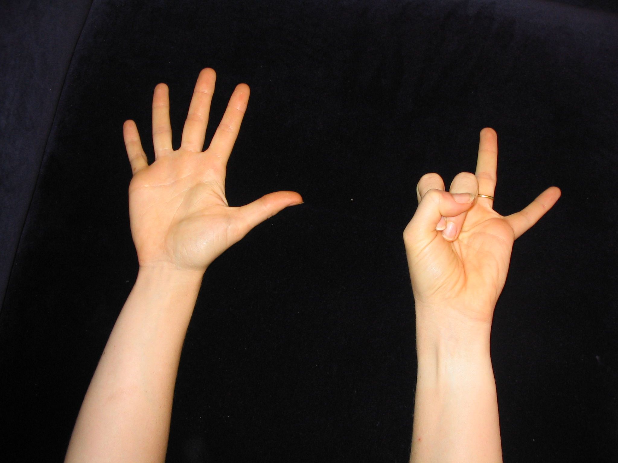 Mouse Toe Numbering Scheme : 5 Steps - Instructables