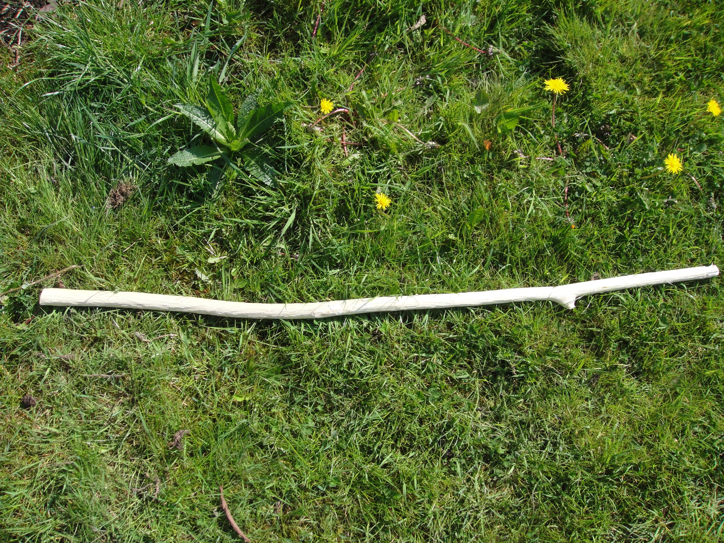 Carving a Spine Hiking Pole : 7 Steps (with Pictures) - Instructables