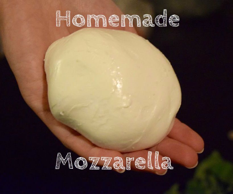 Delicious Homemade Mozzarella : 7 Steps (with Pictures) - Instructables