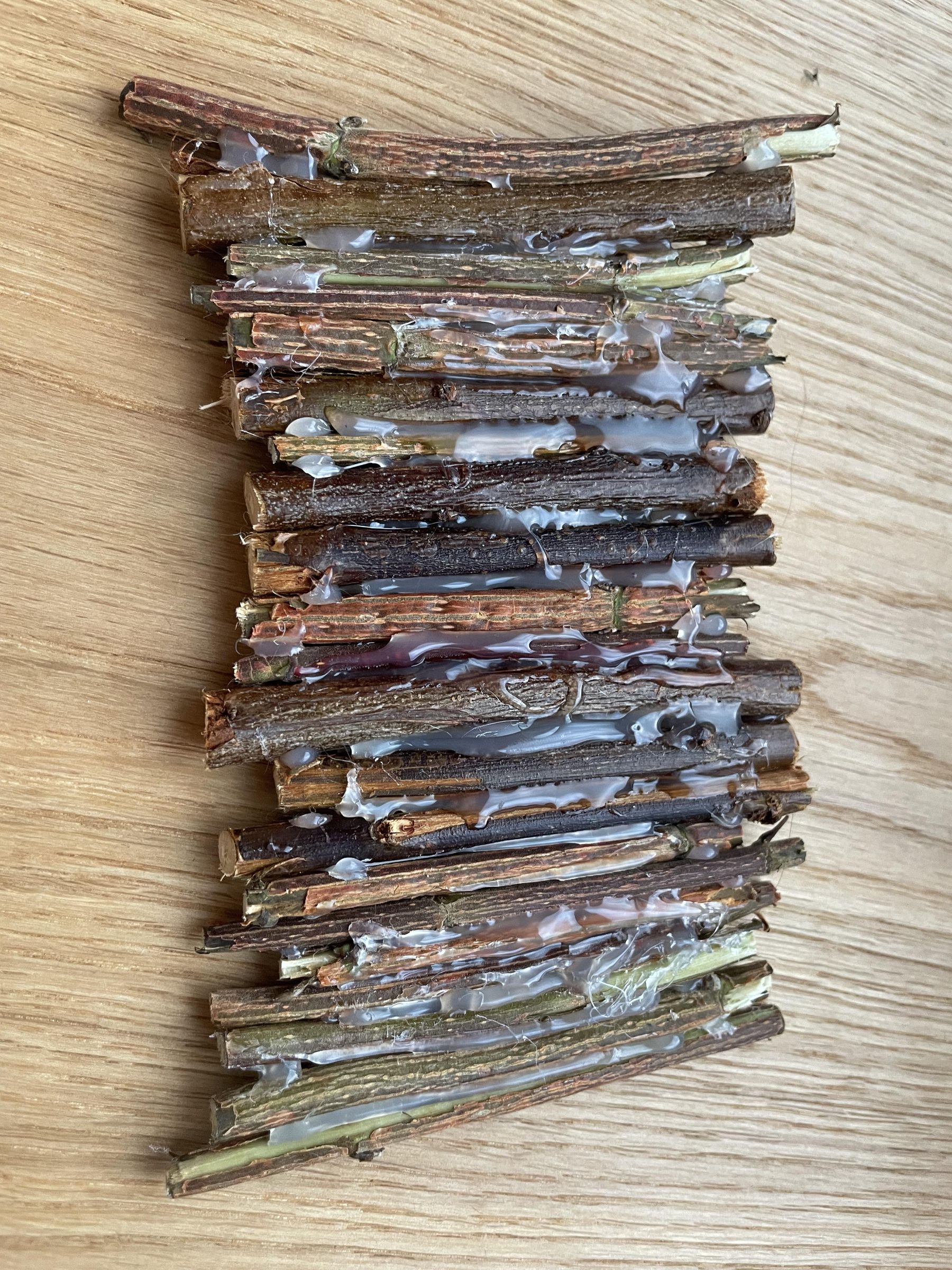 Turtle Basking Area : 6 Steps (with Pictures) - Instructables