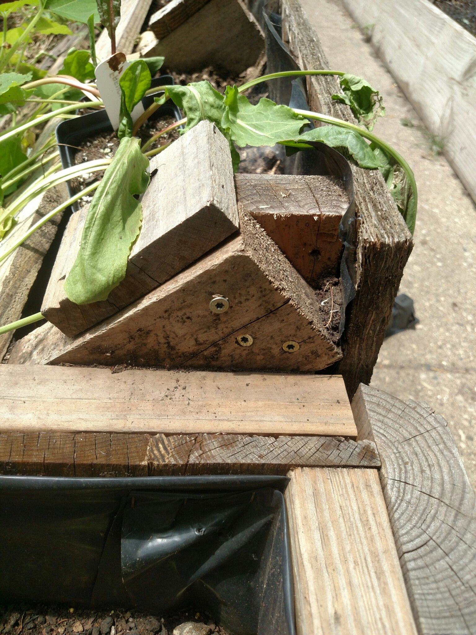 Outdoor Pallet Garden : 10 Steps (with Pictures) - Instructables