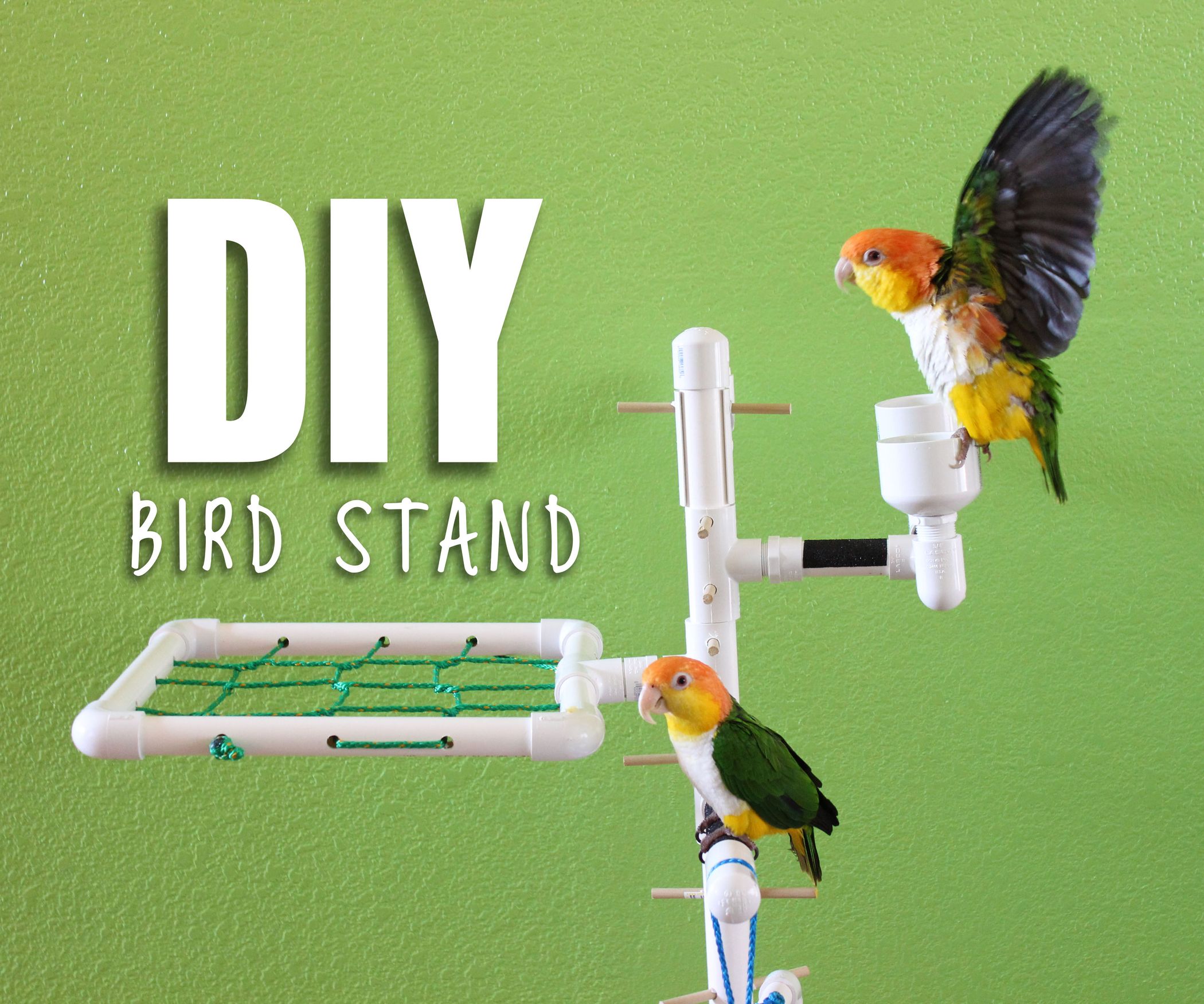 DIY BIRD STAND : 8 Steps (with Pictures) - Instructables