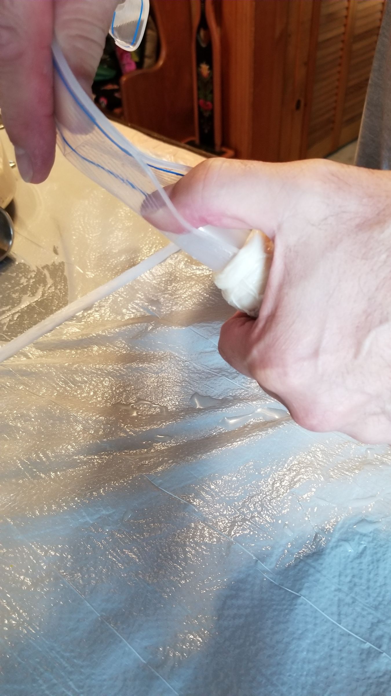 SAUSAGE : 33 Steps (with Pictures) - Instructables