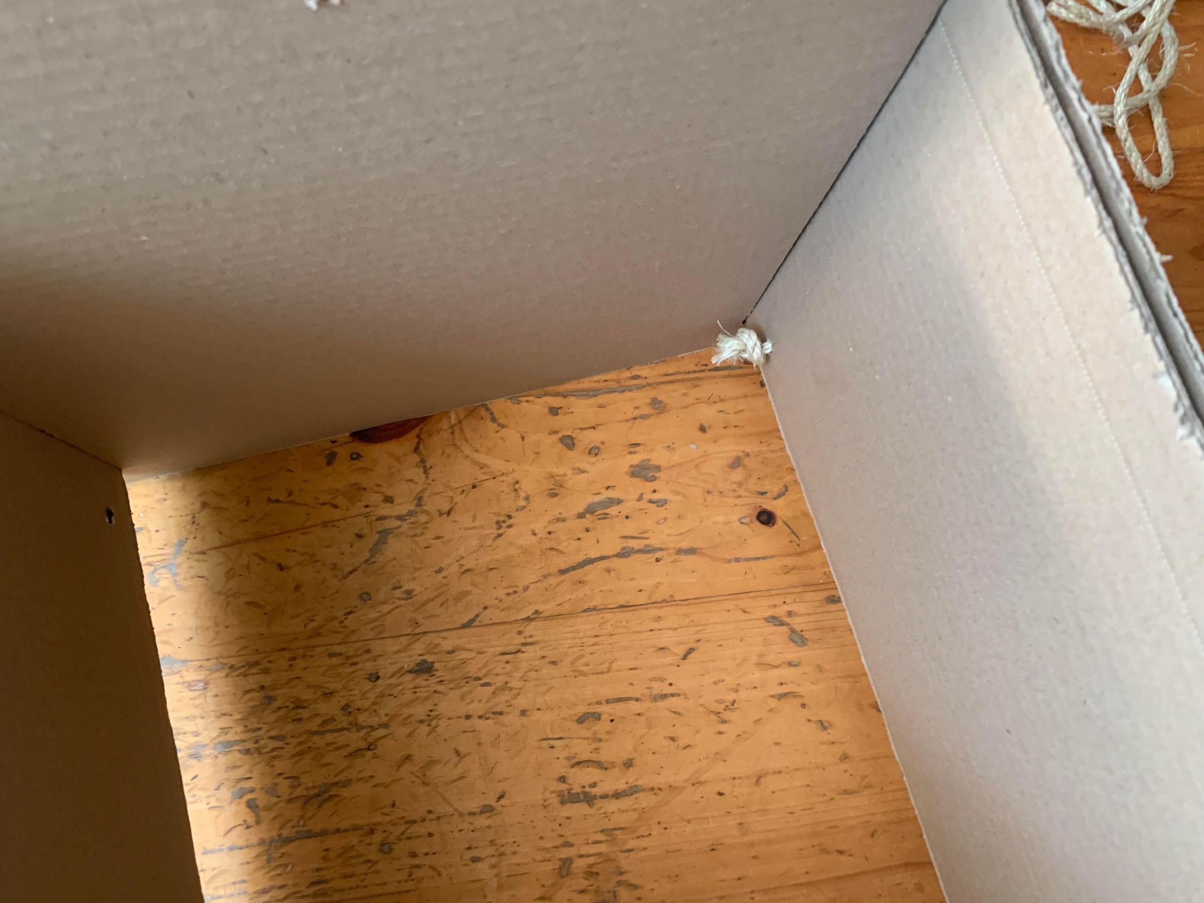 Interactive Box Cat Scratcher : 11 Steps (with Pictures) - Instructables