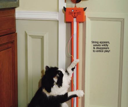FLING-AMA-STRING ULTIMATE UPGRADE: MOTION SENSOR &TIMER HAS CAT TURN IT ...