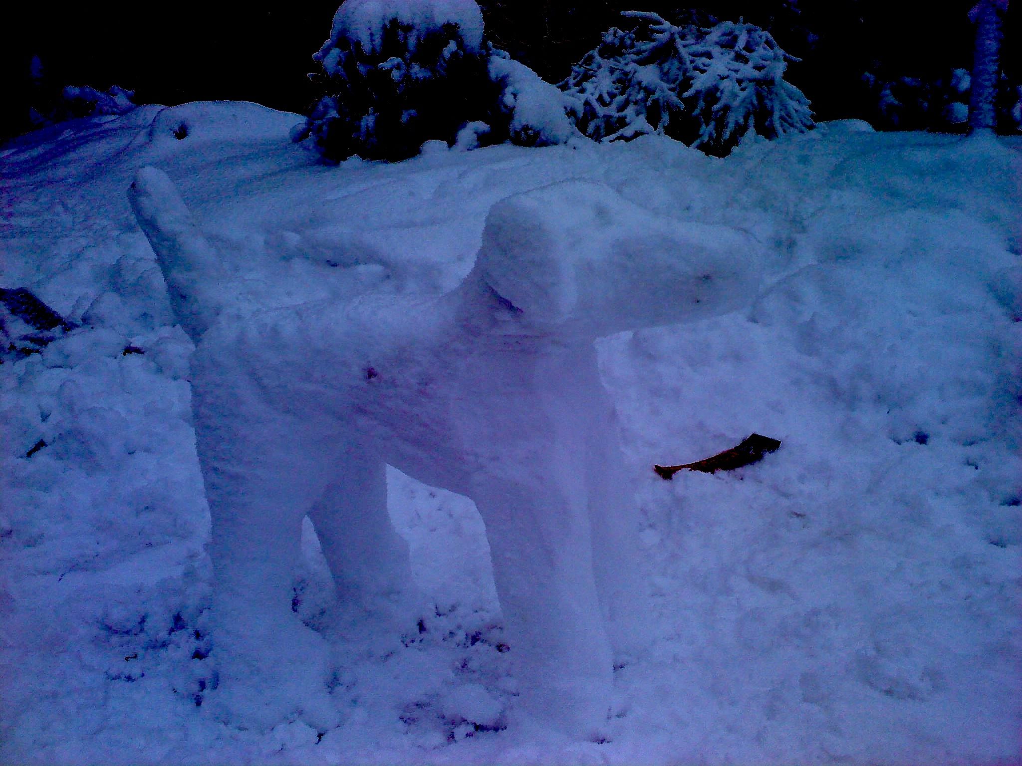 Snow Dogs : 3 Steps - Instructables