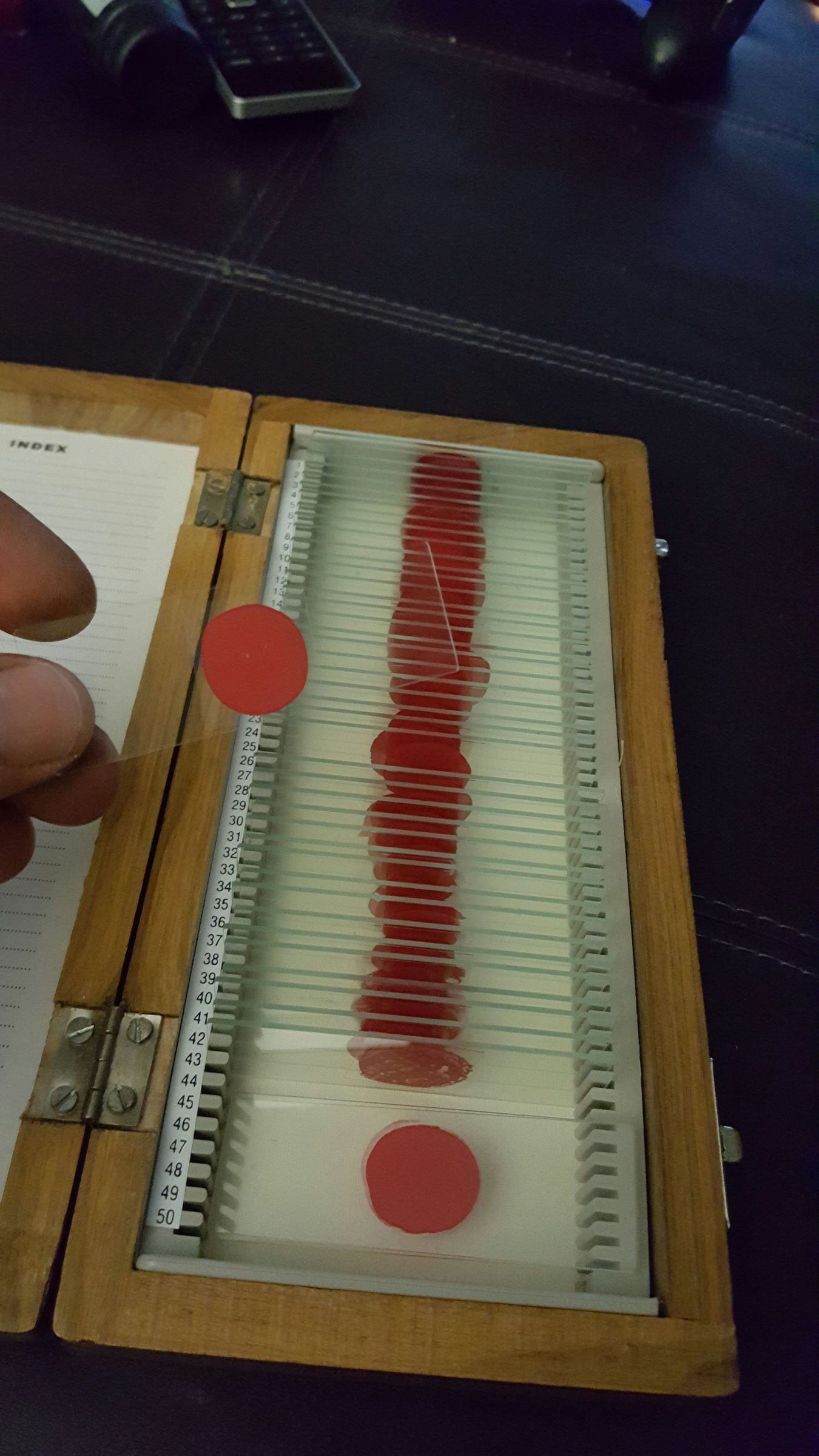 Dexter Trophy Case for UNDER $20 : 4 Steps - Instructables