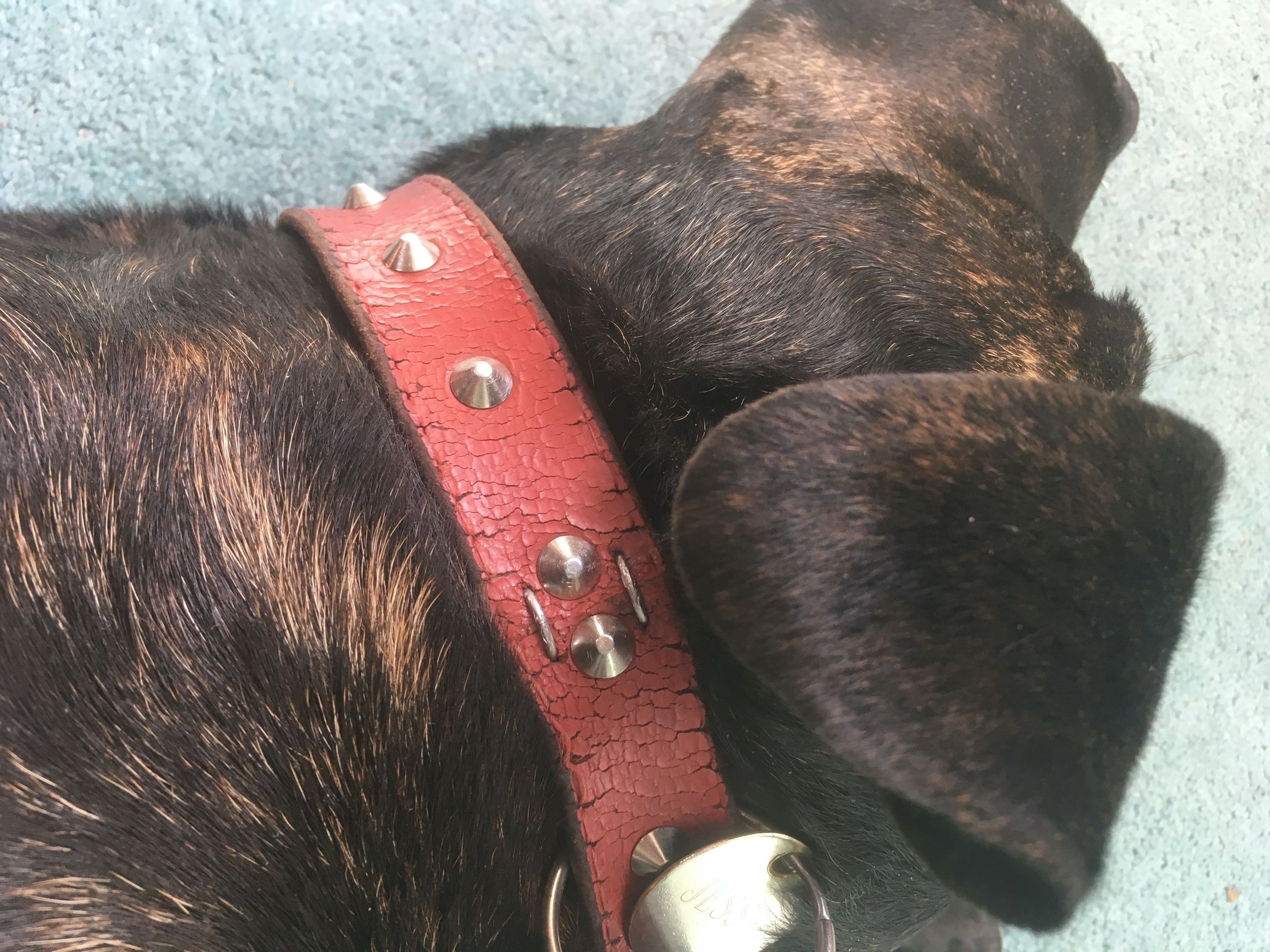 Fixing a Broken Leather Strap : 6 Steps - Instructables