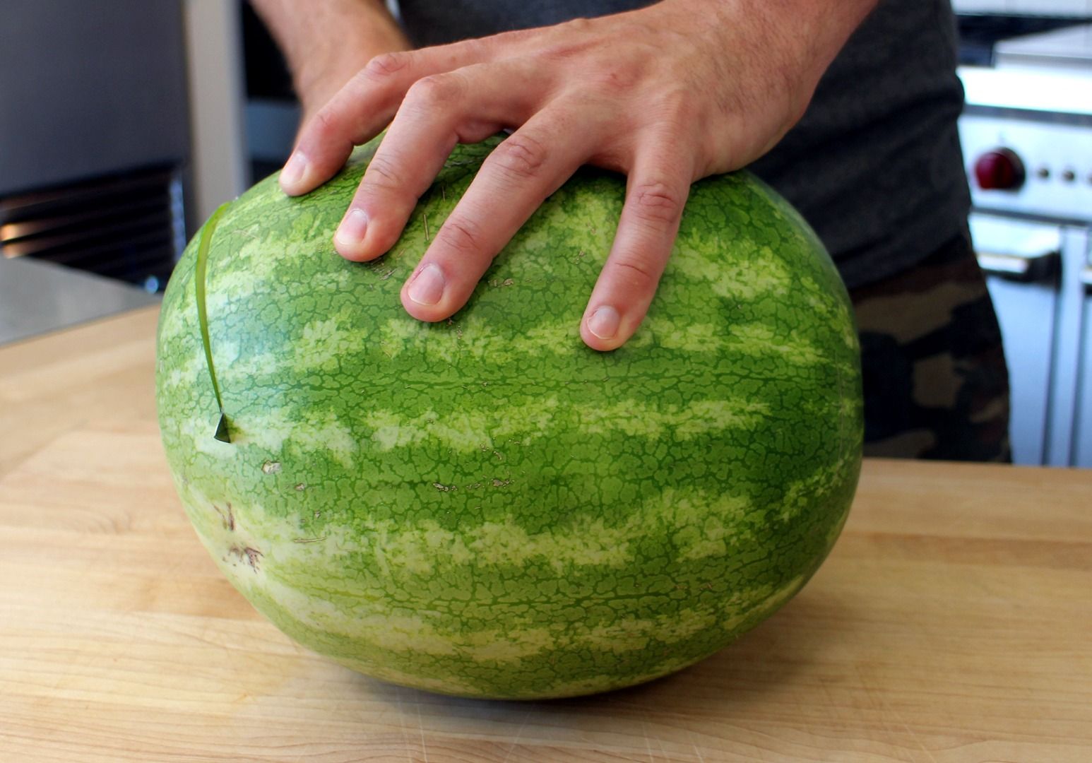 Watermelon Shark : 13 Steps (with Pictures) - Instructables