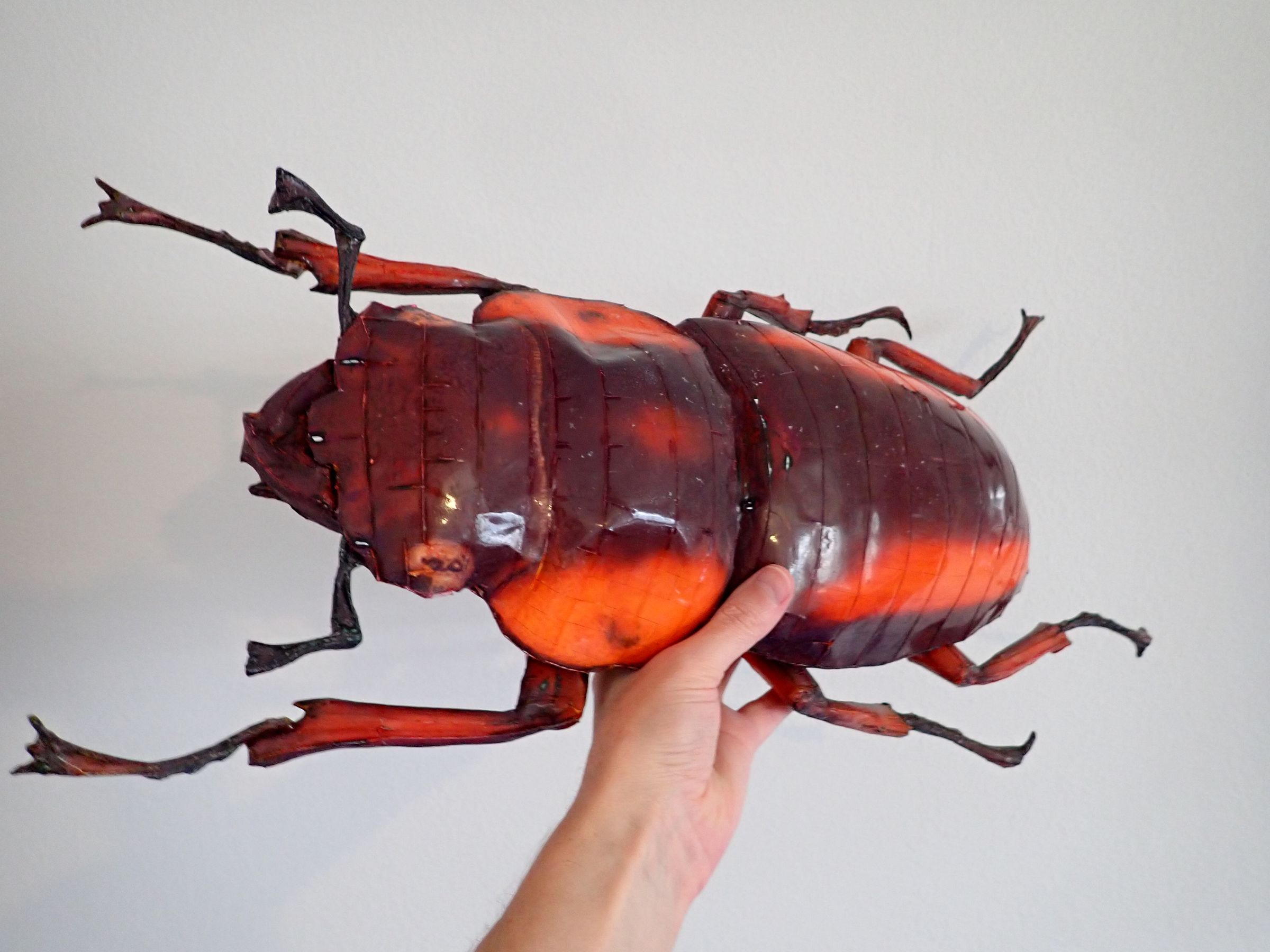 Build an Accurate Animal Paper Model : 5 Steps (with Pictures ...