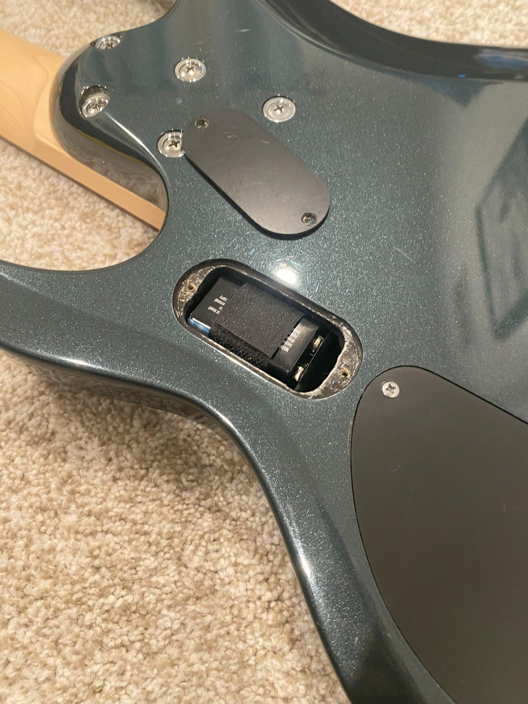 Bass Care 101: the Complete Guide to Basic Bass Care and Maintenance ...