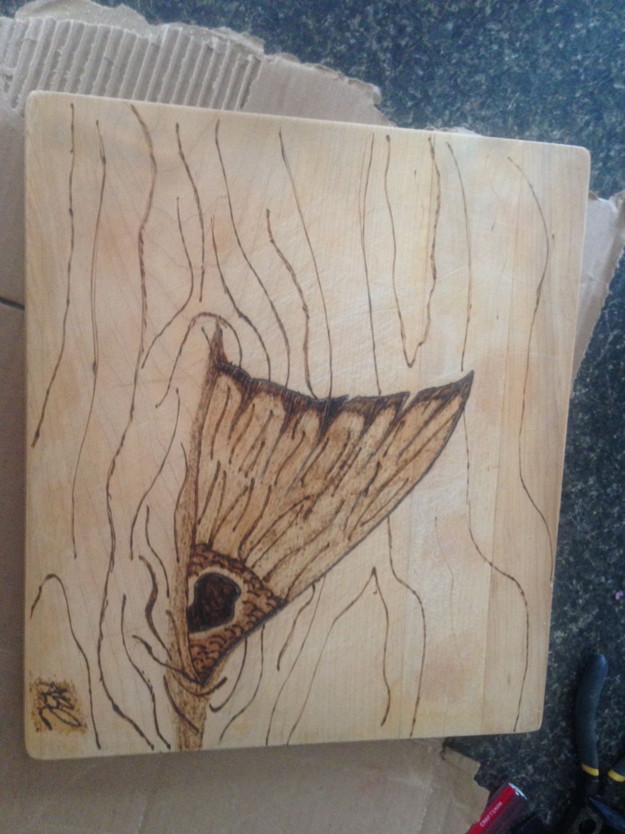 Pyrography Wood Burning: Fish : 3 Steps - Instructables