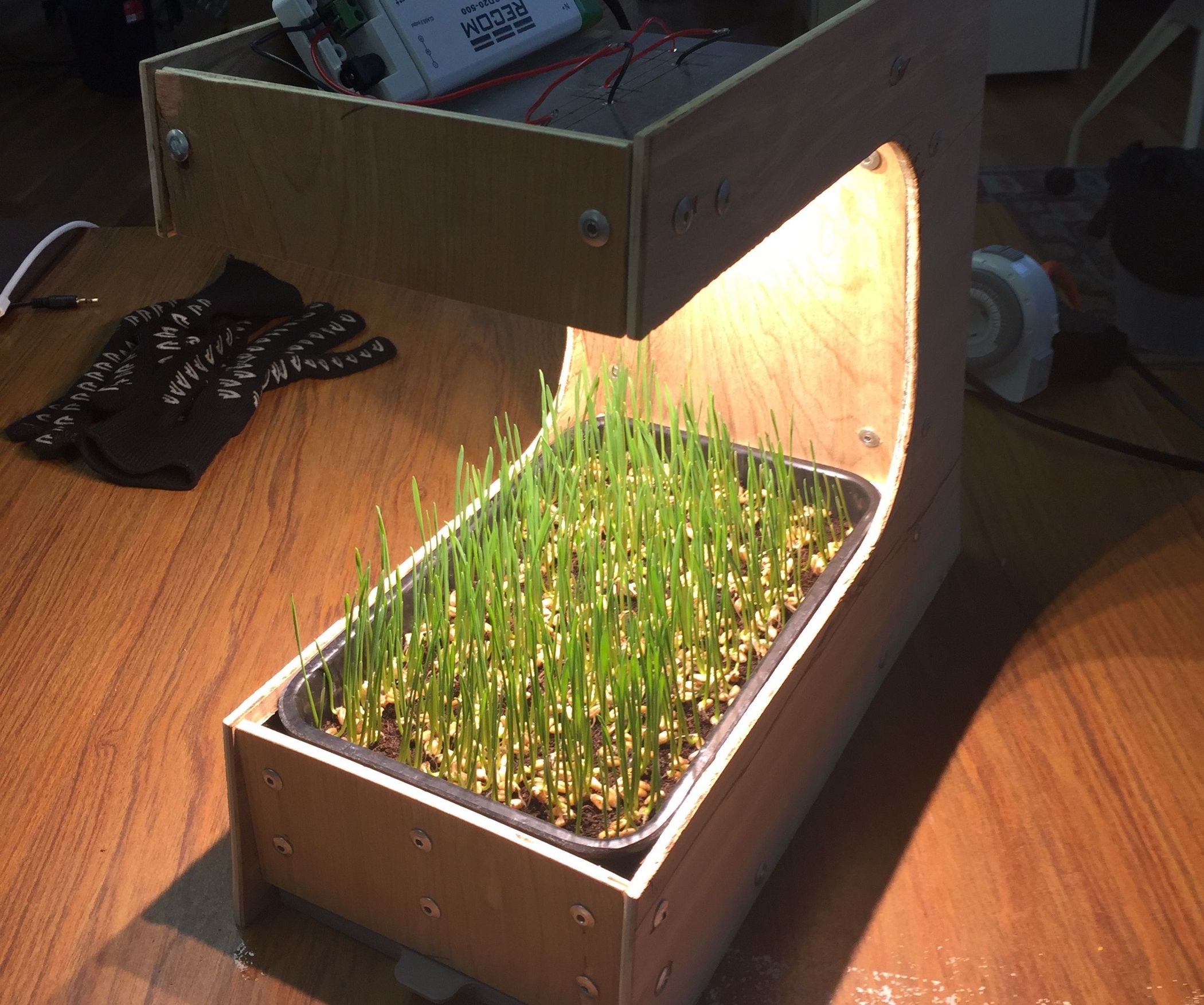 Desktop Gardening, Plantbot Alpha : 5 Steps - Instructables