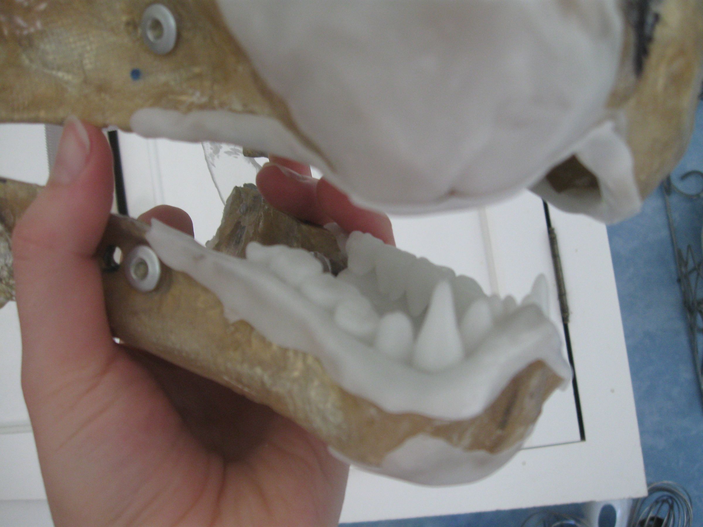 Making a Cat(?) Mask With Fiberglass : 18 Steps (with Pictures ...