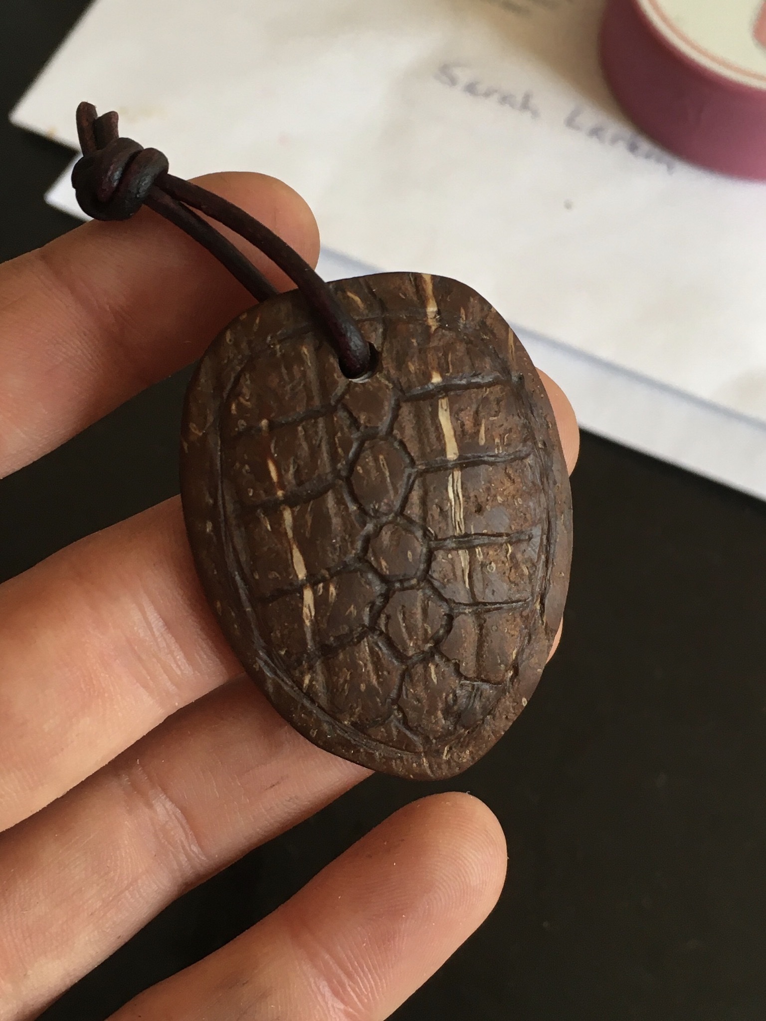 Turtle Shell From Coconut : 6 Steps (with Pictures) - Instructables