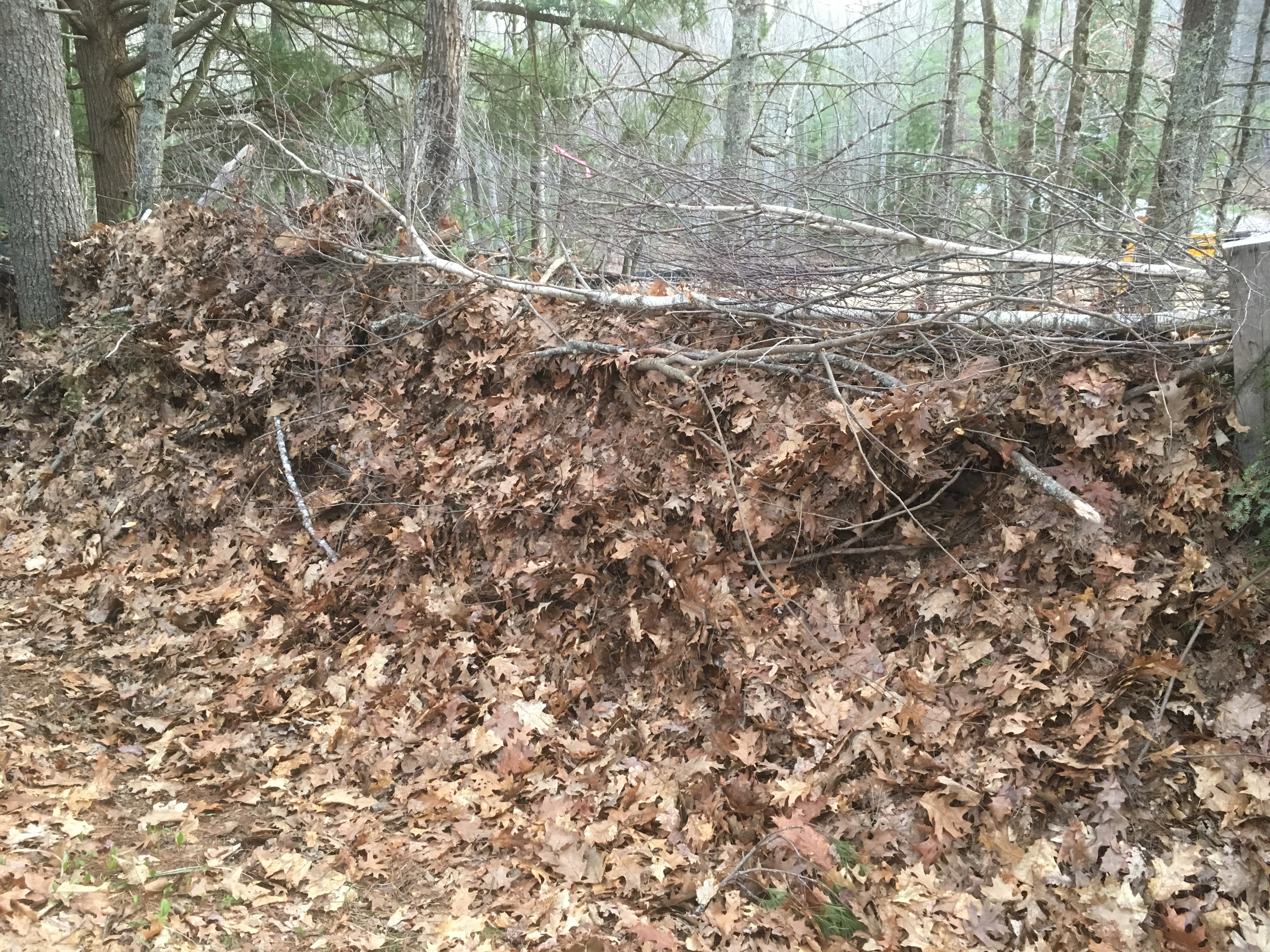 Building a Privacy Burm for Free : 3 Steps (with Pictures) - Instructables