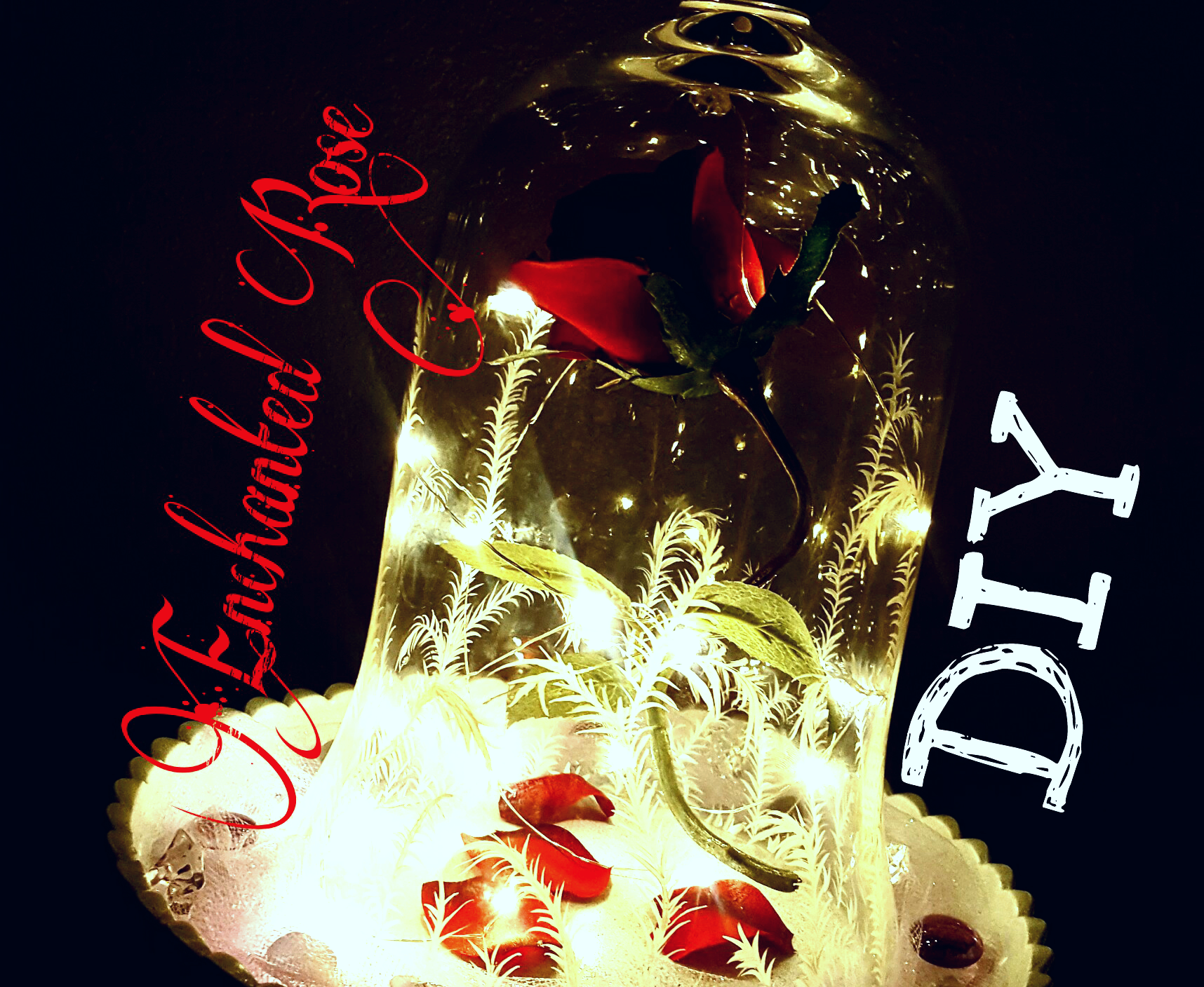 DIY Enchanted Rose : 10 Steps (with Pictures) - Instructables