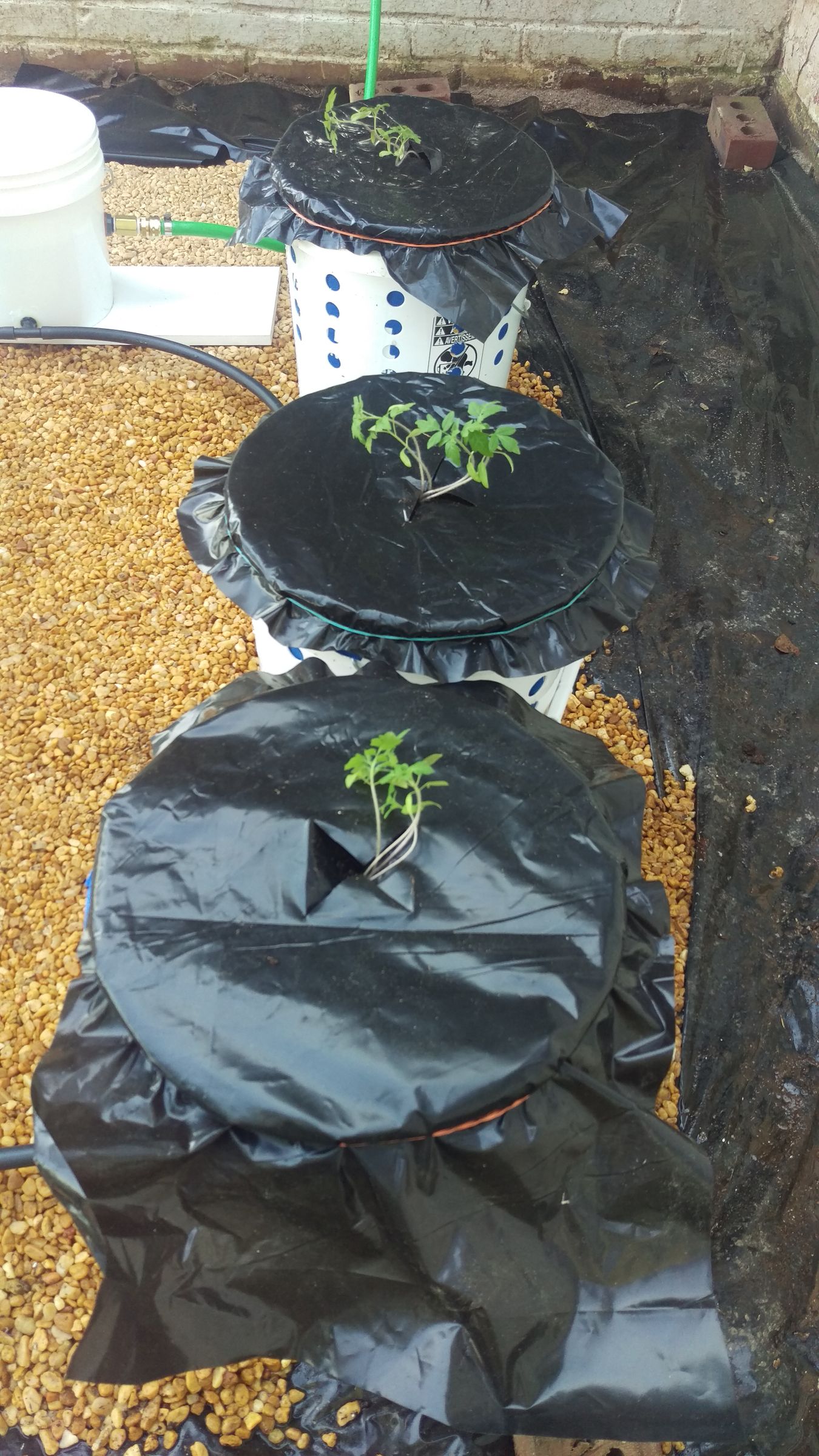 Self Watering Bucket Garden : 3 Steps - Instructables