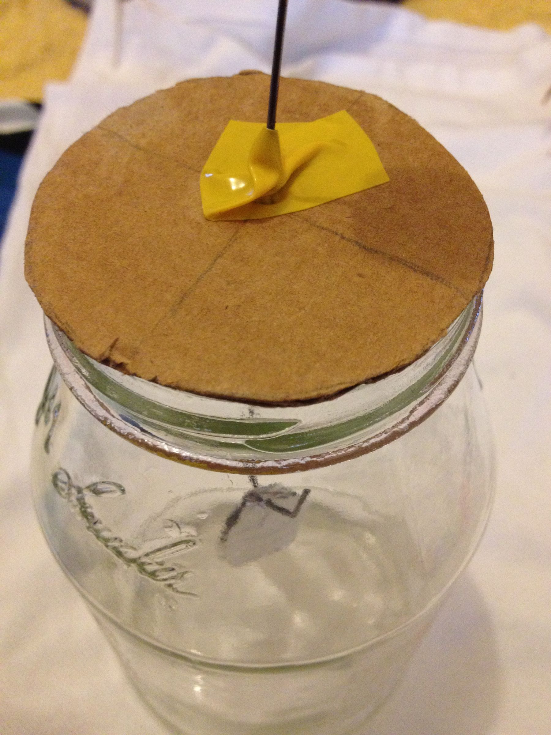 How to Make an Electroscope Easily : 12 Steps - Instructables