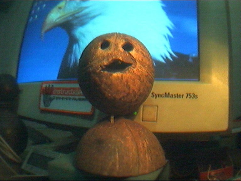 Coconut Speaker : 6 Steps - Instructables