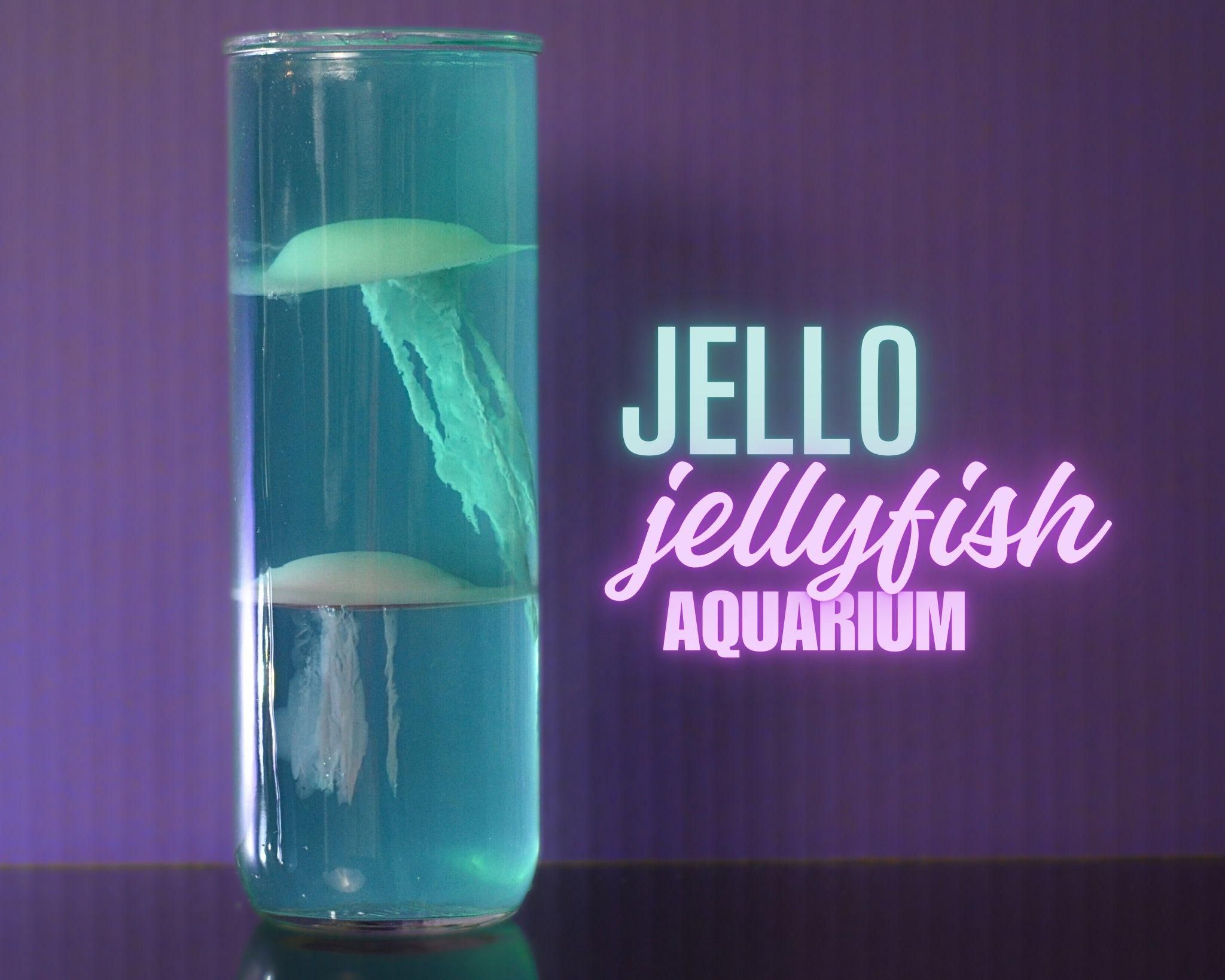 JELLO Jellyfish Aquarium : 9 Steps (with Pictures) - Instructables