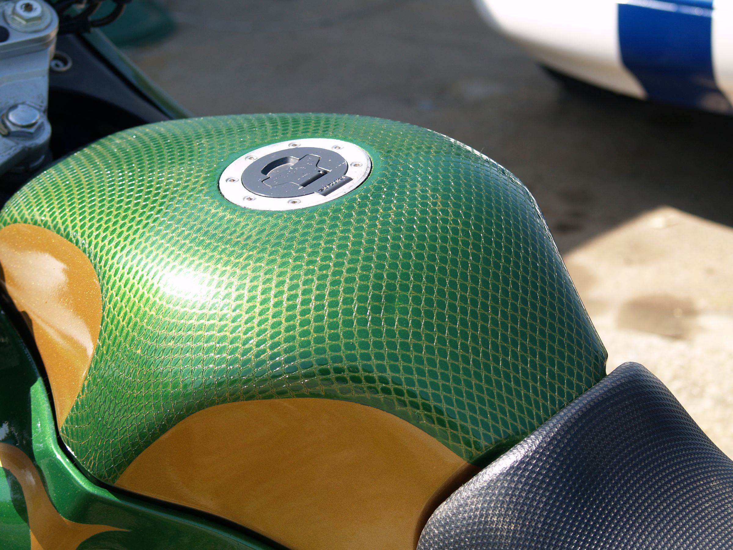 "UPDATED W/Videos" How to Spray Paint Snake Skin Scales on Anything : 7 ...