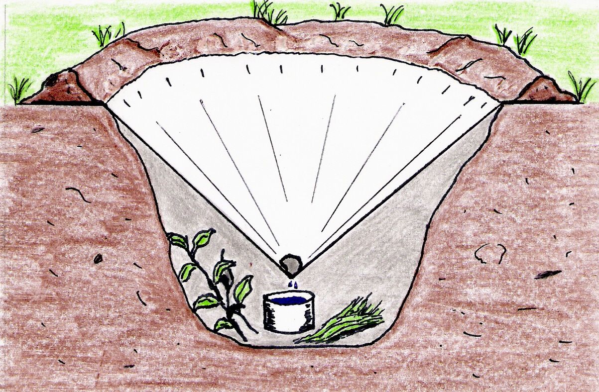 How to Make a Solar Still - Instructables