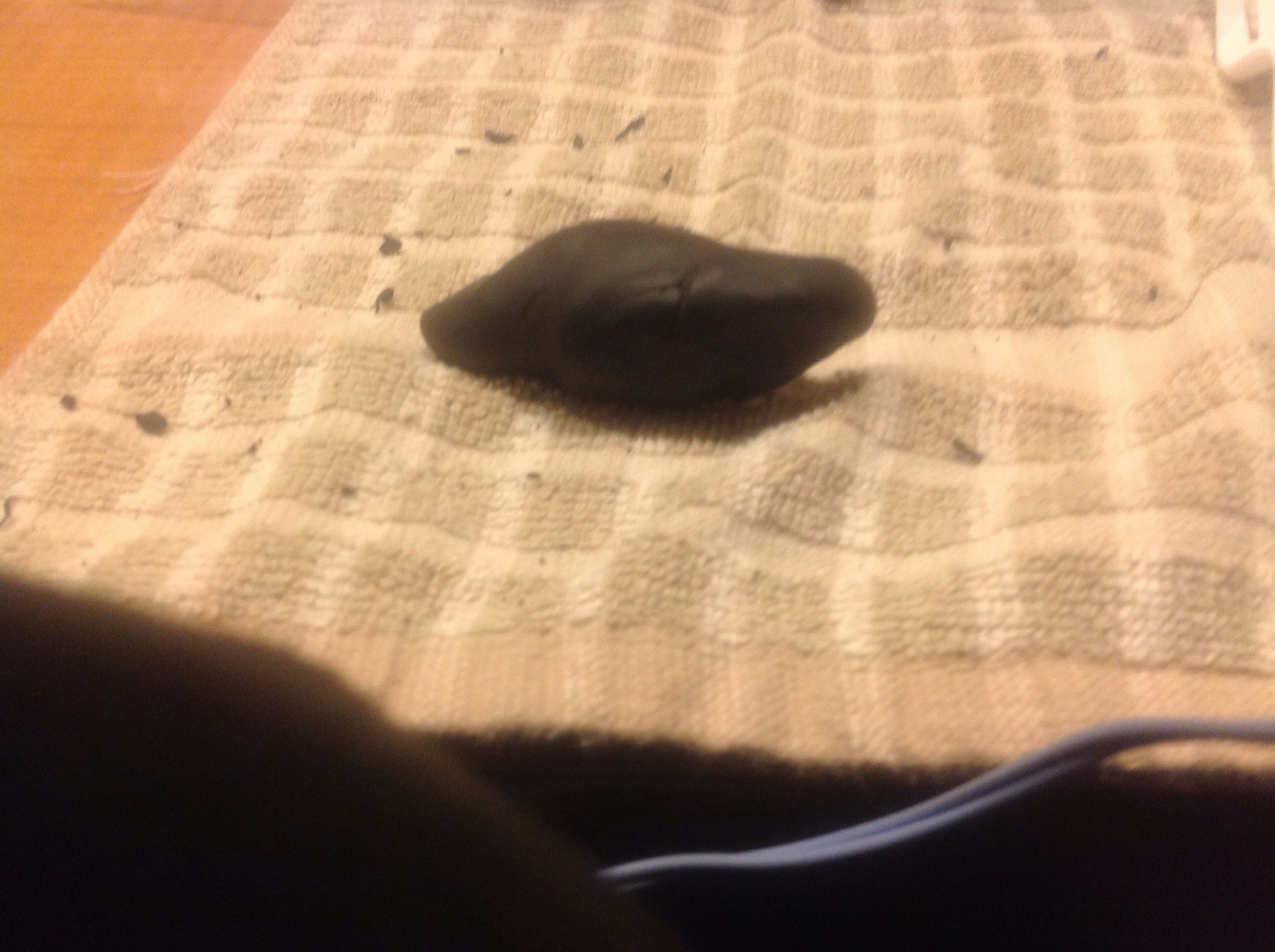 Clay Rats : 8 Steps - Instructables