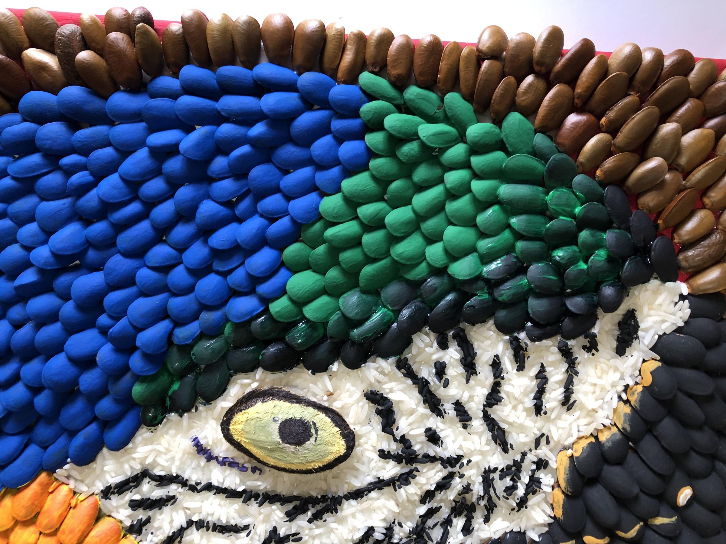 Macaw With Soursop Seeds, Rice and Mango. : 12 Steps (with Pictures ...