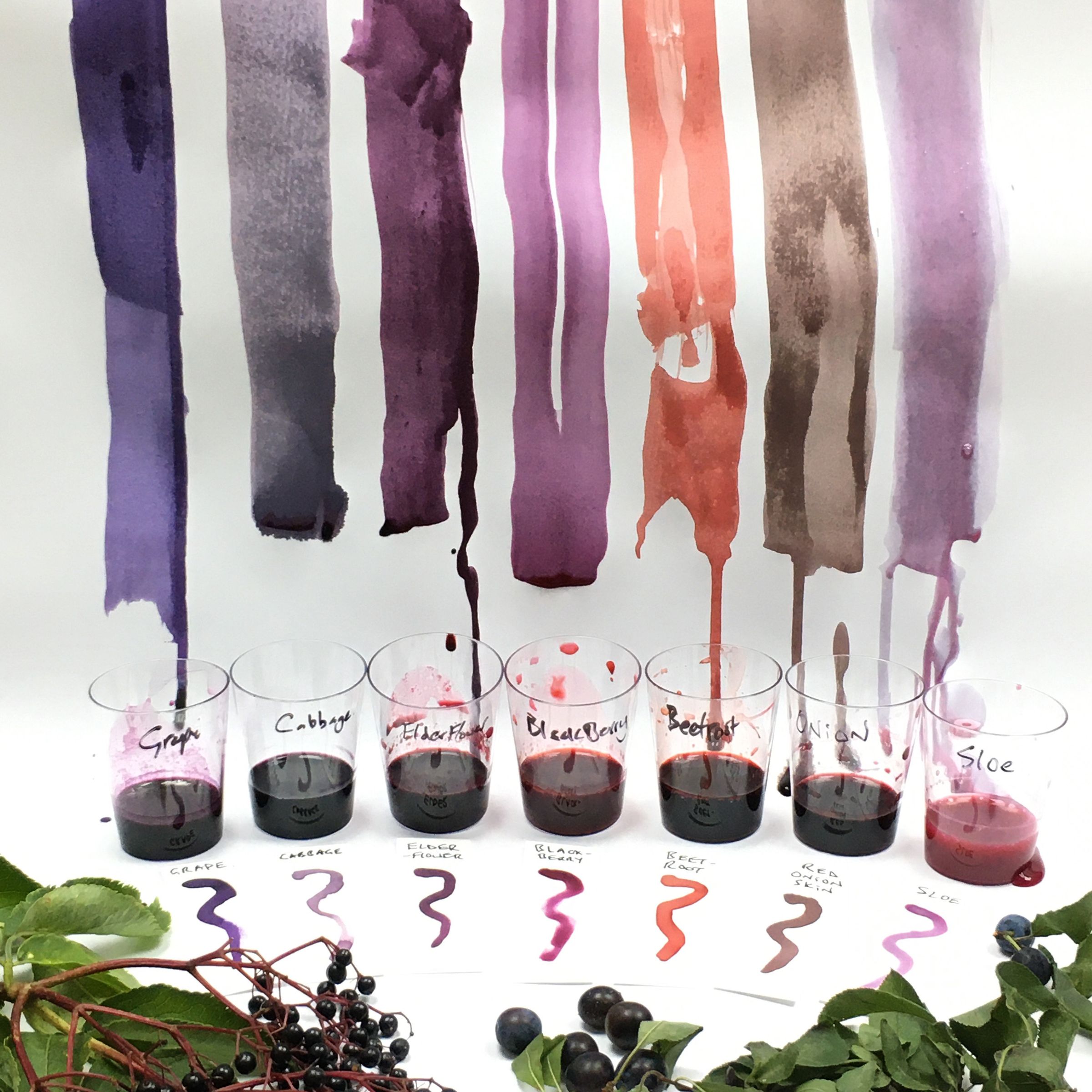 Home Made Ink From Nature: Perfect Purples : 18 Steps (with Pictures ...