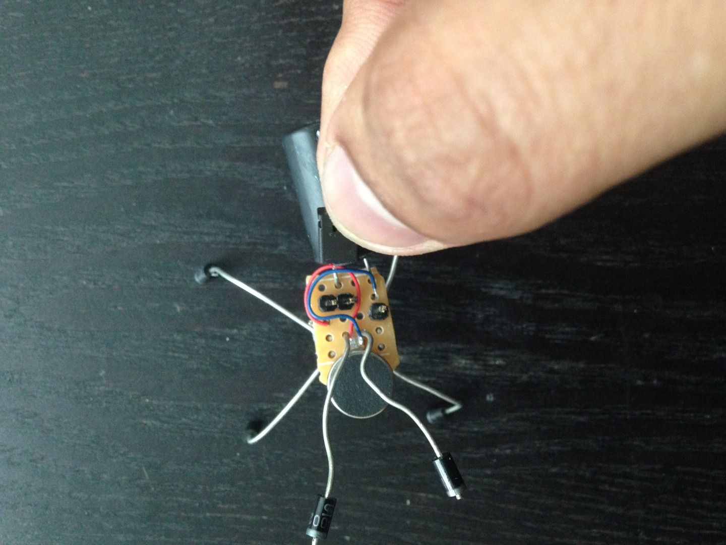 Insect Bot : 8 Steps (with Pictures) - Instructables