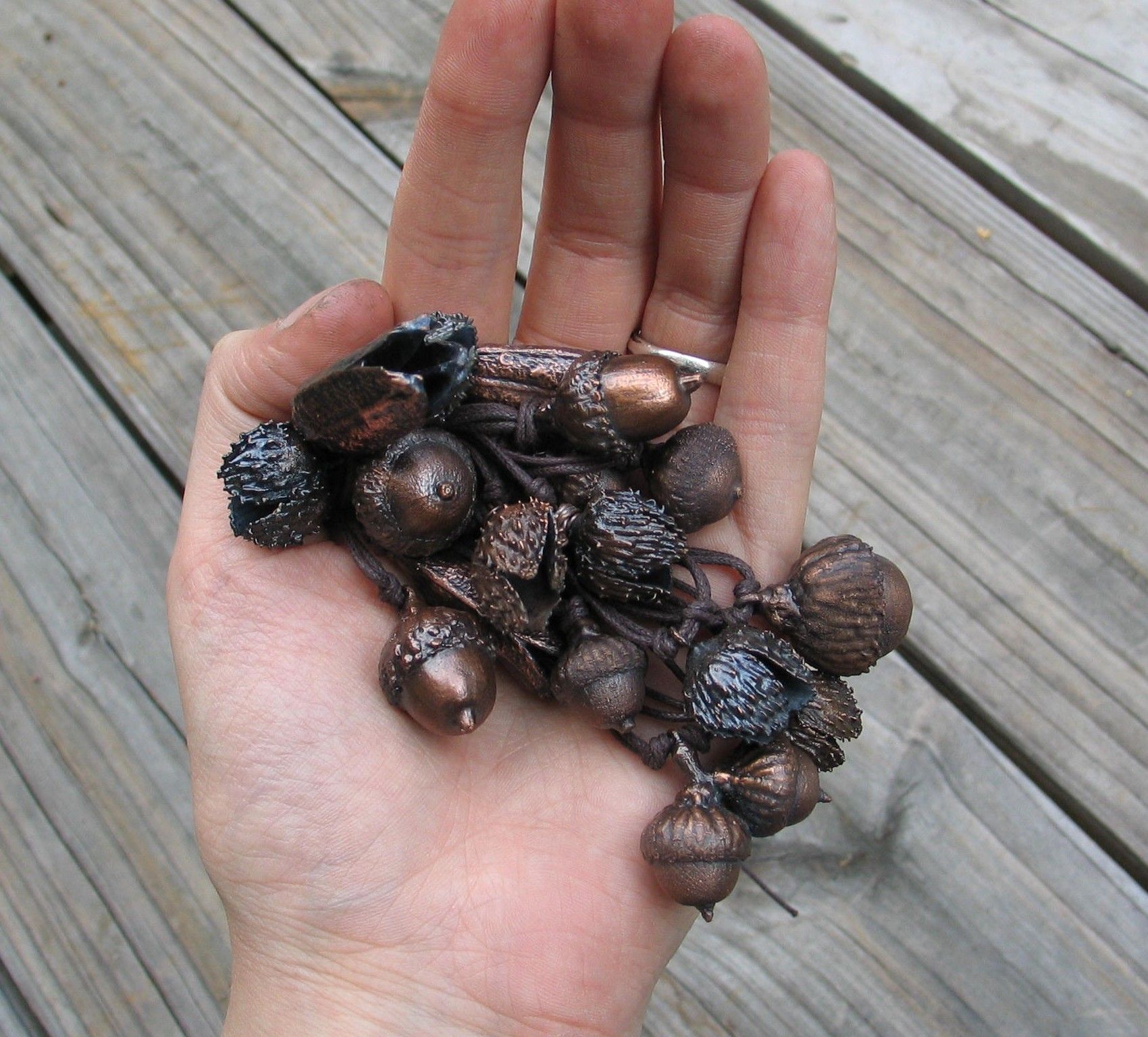 Electroforming an Iris Seed Pod : 18 Steps (with Pictures) - Instructables