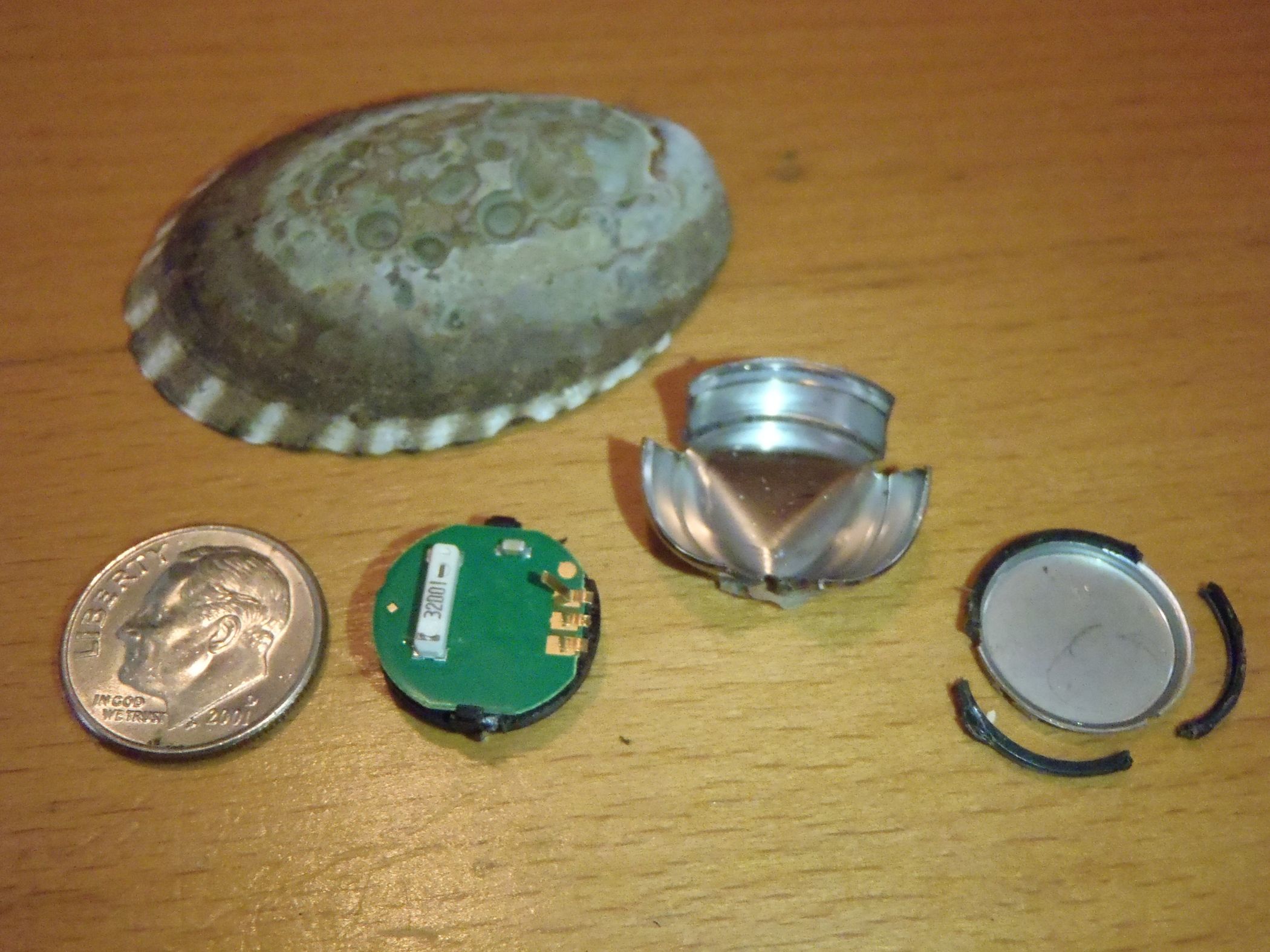 Robo-Limpets : 8 Steps - Instructables