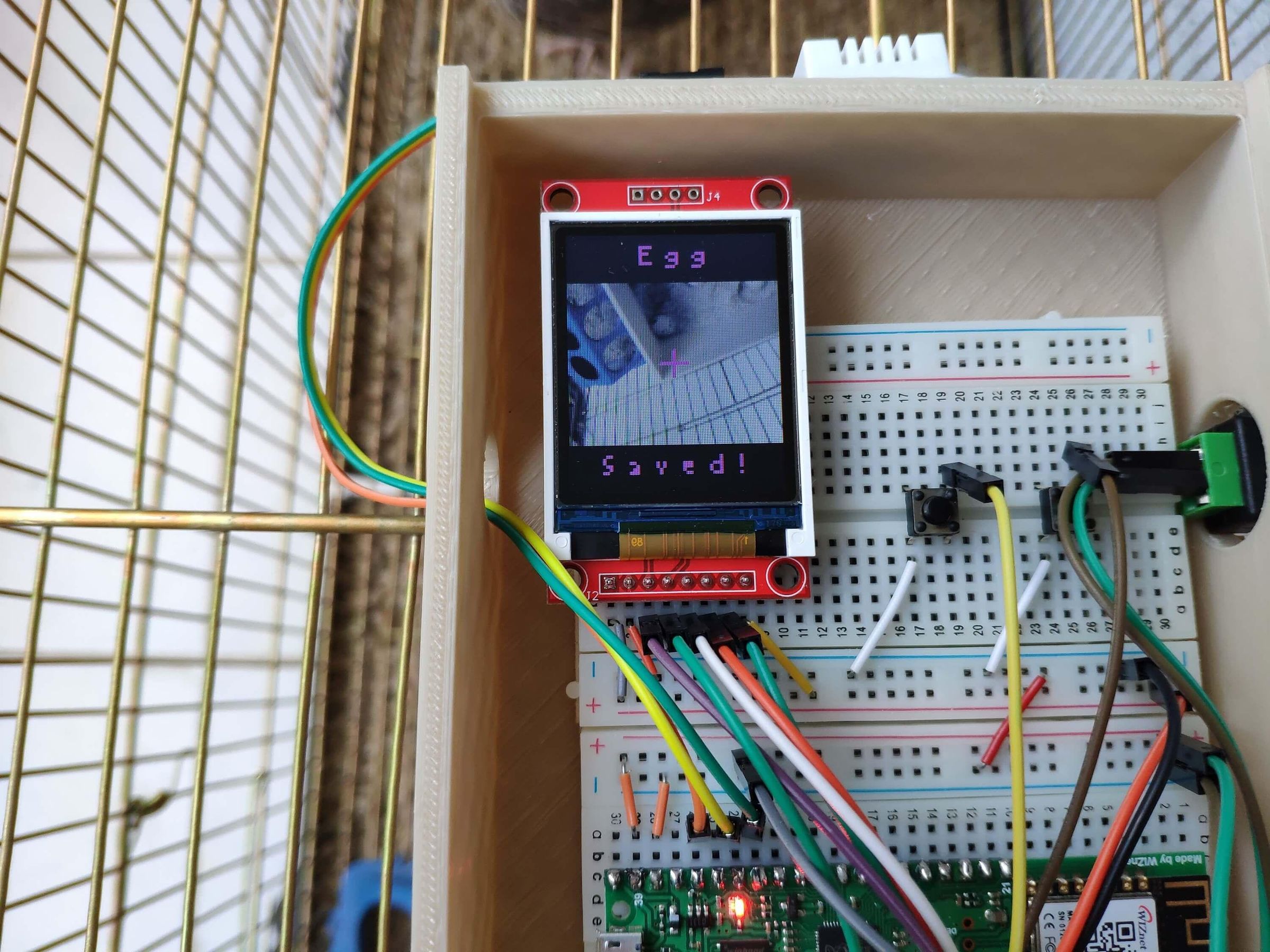 IoT AI-driven Poultry Feeder and Unhatched Egg Tracker W/ WhatsApp : 20 ...