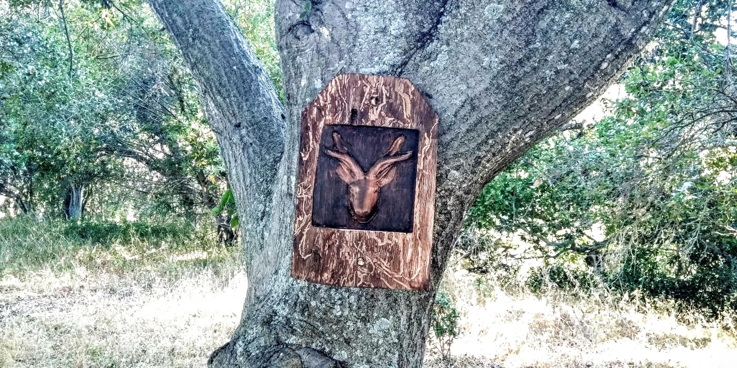 CNC Log Carving : 5 Steps (with Pictures) - Instructables