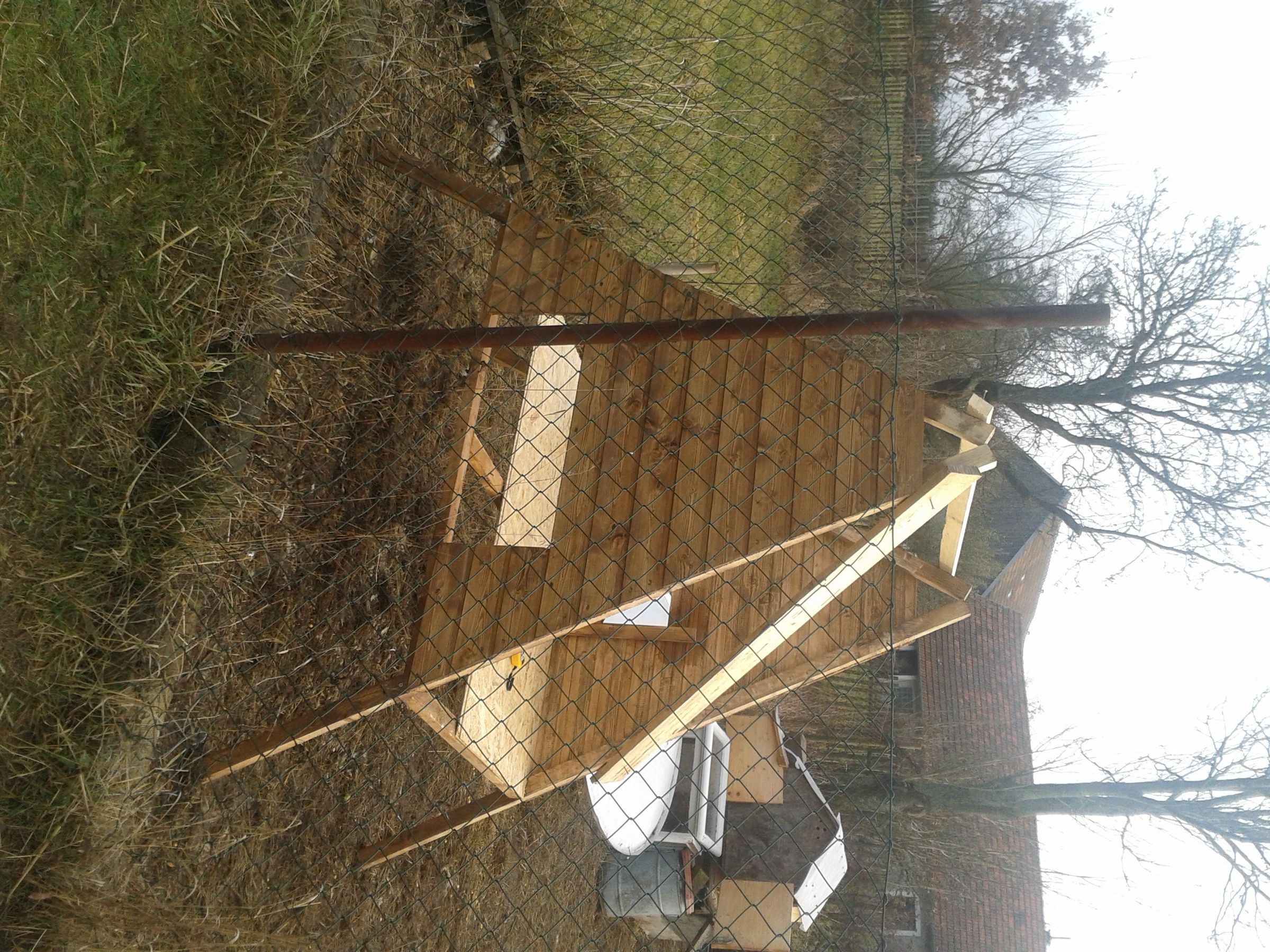 Ark Shaped Chicken Coop : 10 Steps (with Pictures) - Instructables
