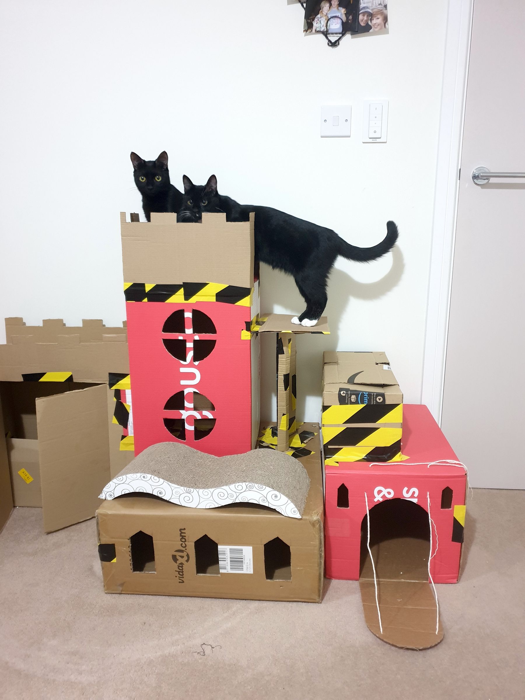 Cardboard Cat Fort With LED Remote Control Lighting and Real Drawbridge ...