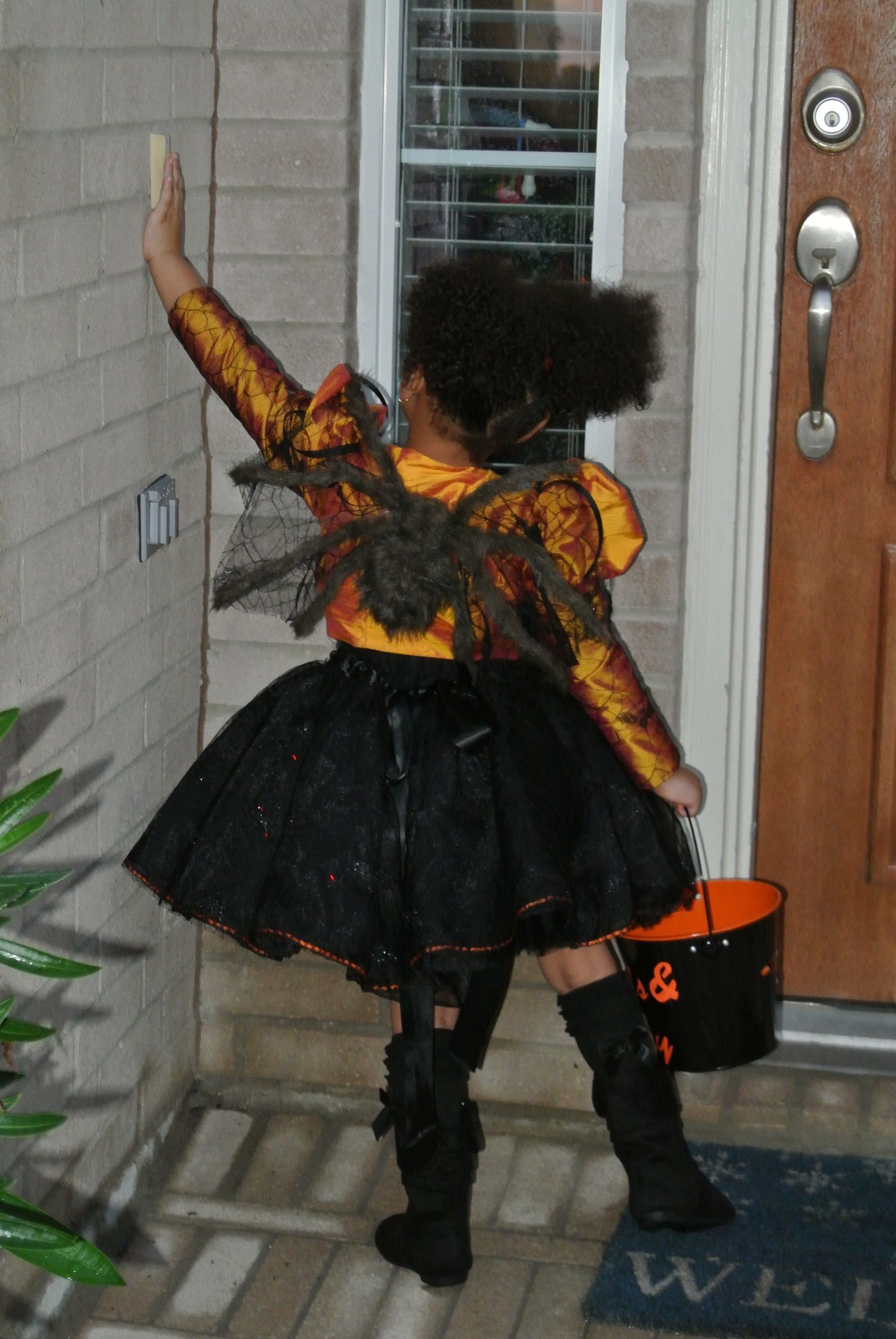 Homemade Spider Princess Costume