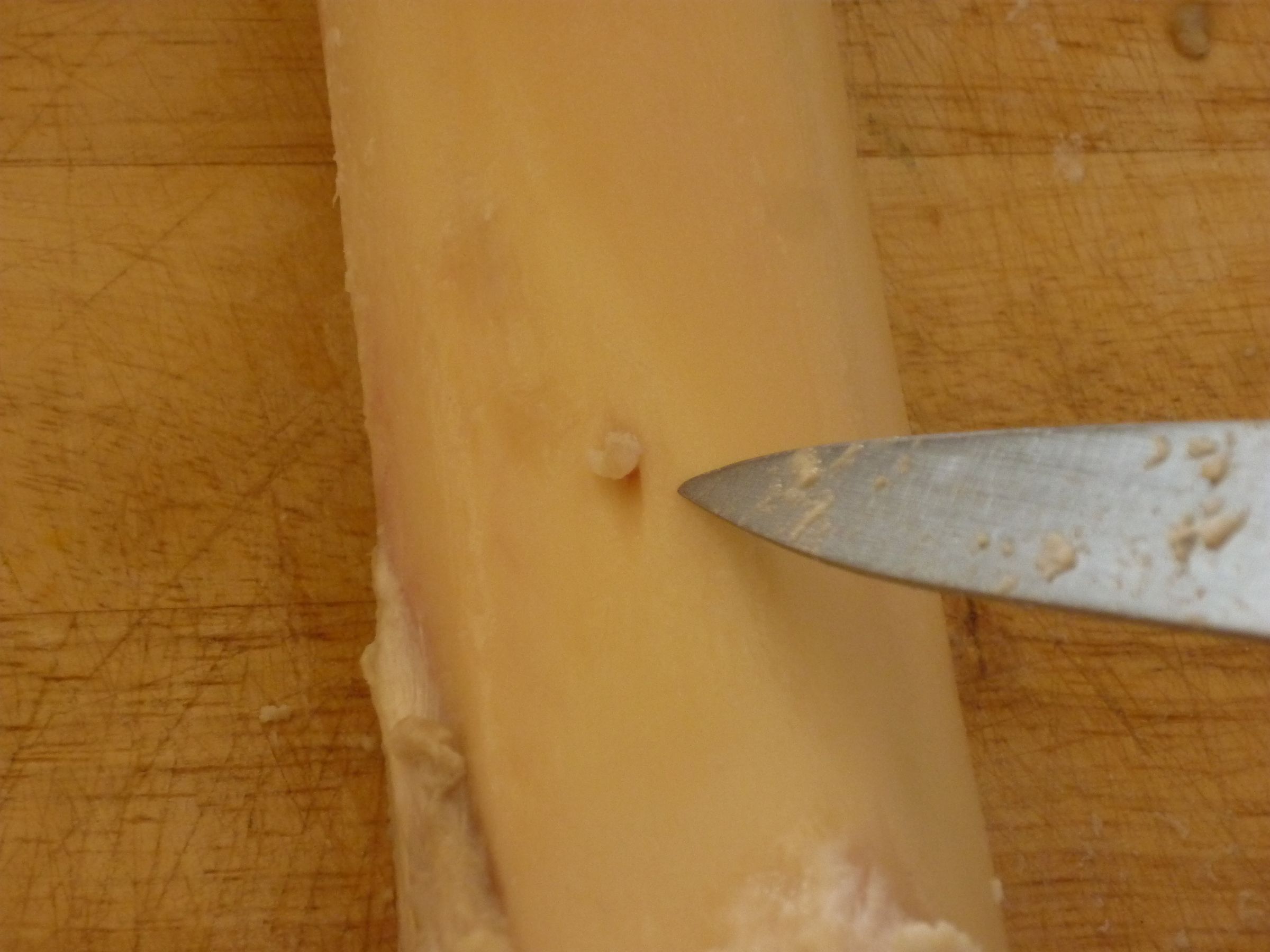 Prepare Bone for Carving : 8 Steps - Instructables