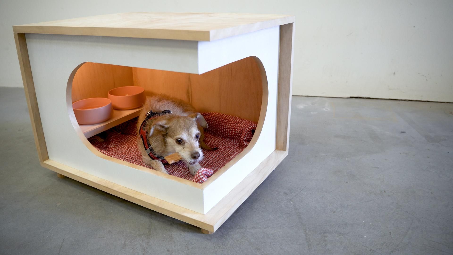 How to Make a Modern Dog Bed : 16 Steps (with Pictures) - Instructables