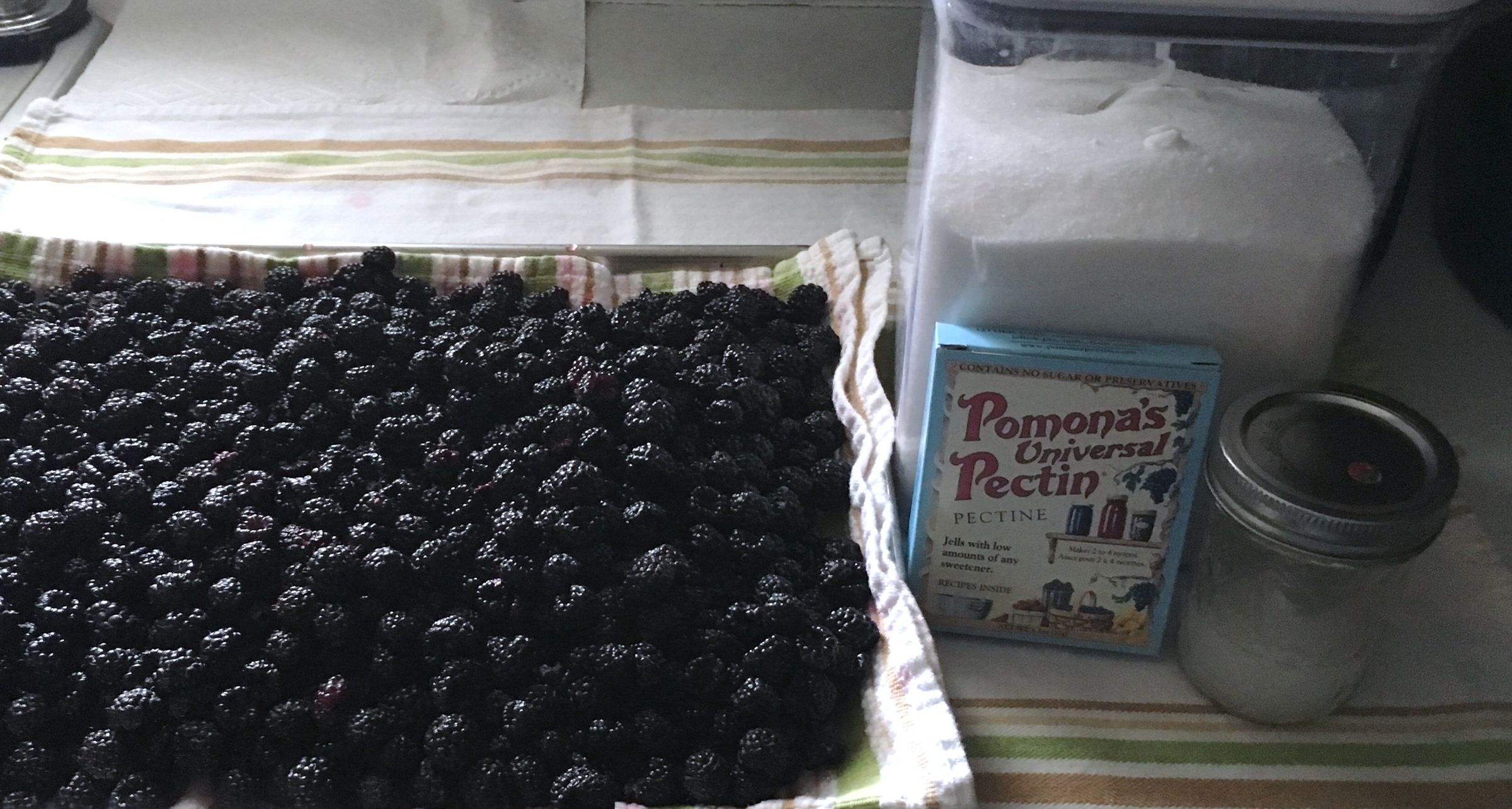 Seedless Black Raspberry Jam : 4 Steps (with Pictures) - Instructables