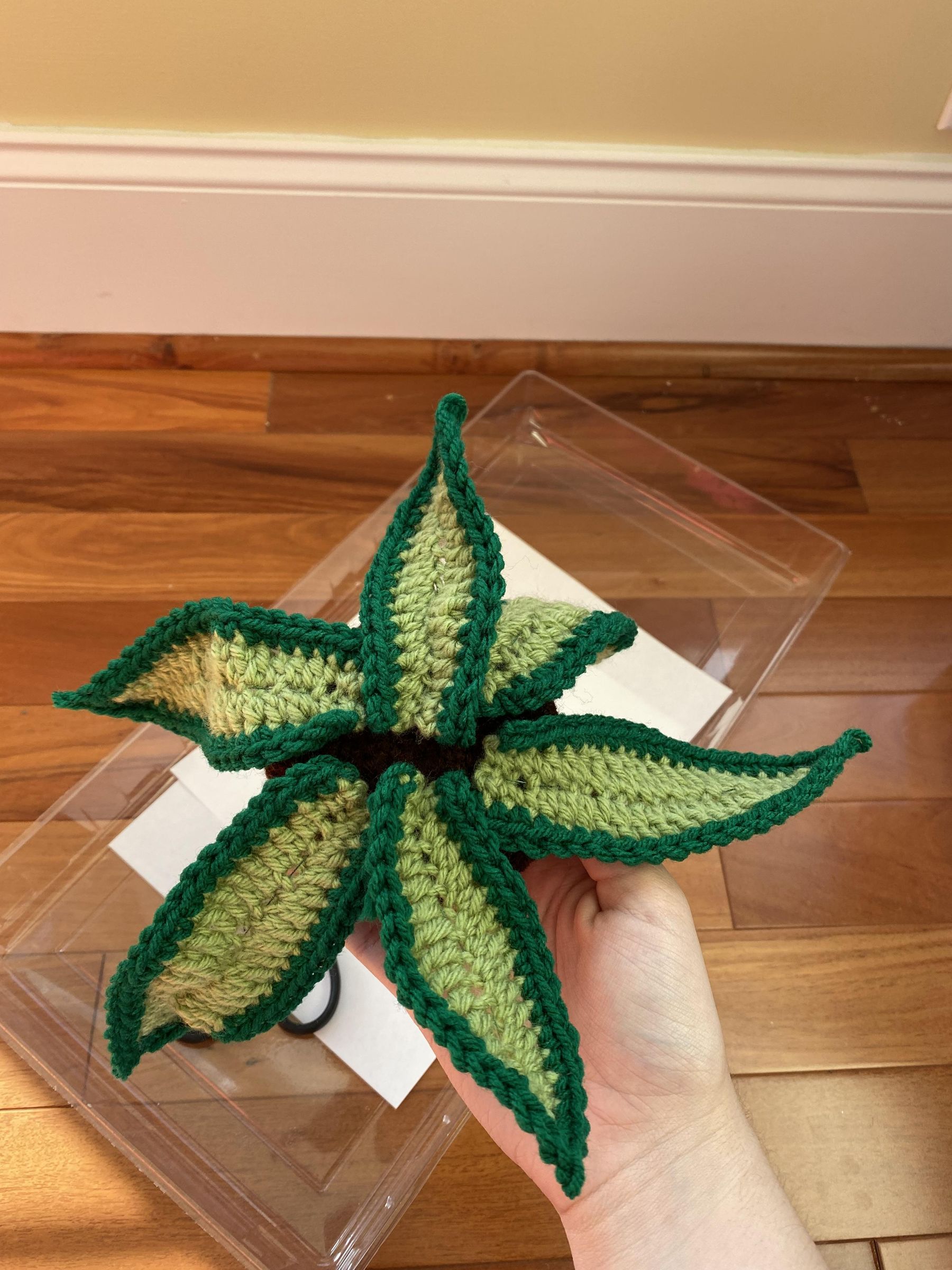 Crocheted House Plant : 3 Steps - Instructables