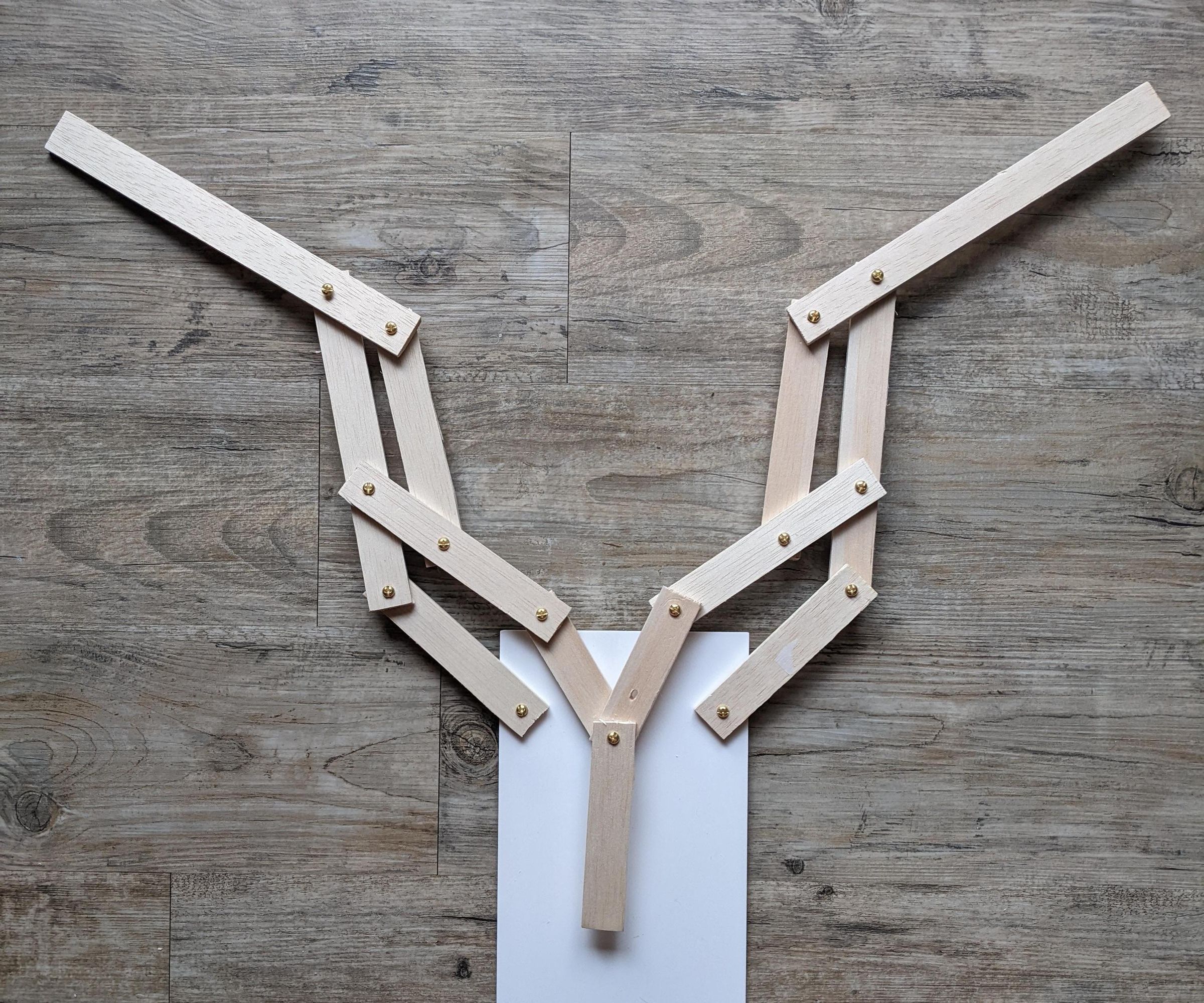 Blossoming Flower - Arduino Powered : 8 Steps (with Pictures ...