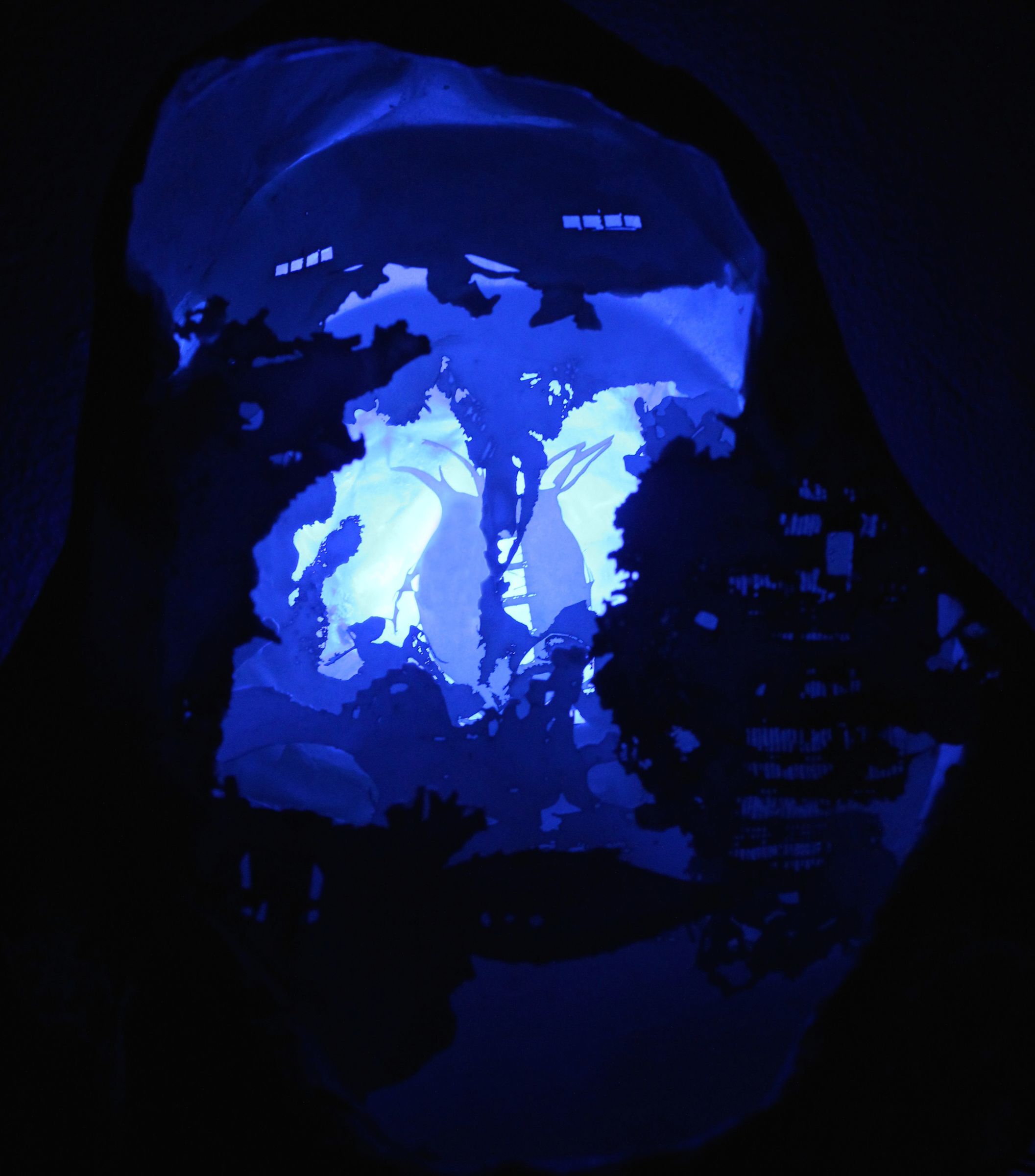 Shadow Pod: Nightlight : 10 Steps - Instructables