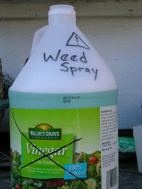 (Blue-)Green Weed Spray - From Household Ingredients. : 5 Steps ...