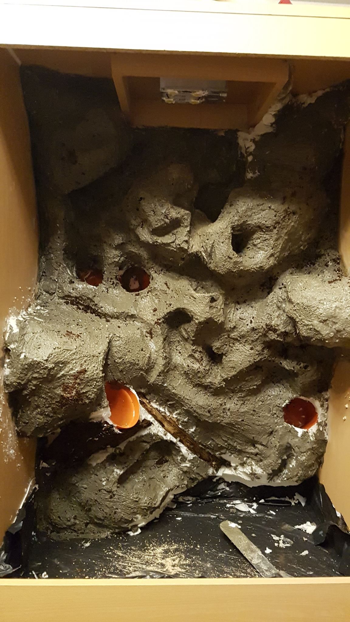 Convert Old Cupboard Into Amazing Vivarium : 4 Steps (with Pictures ...