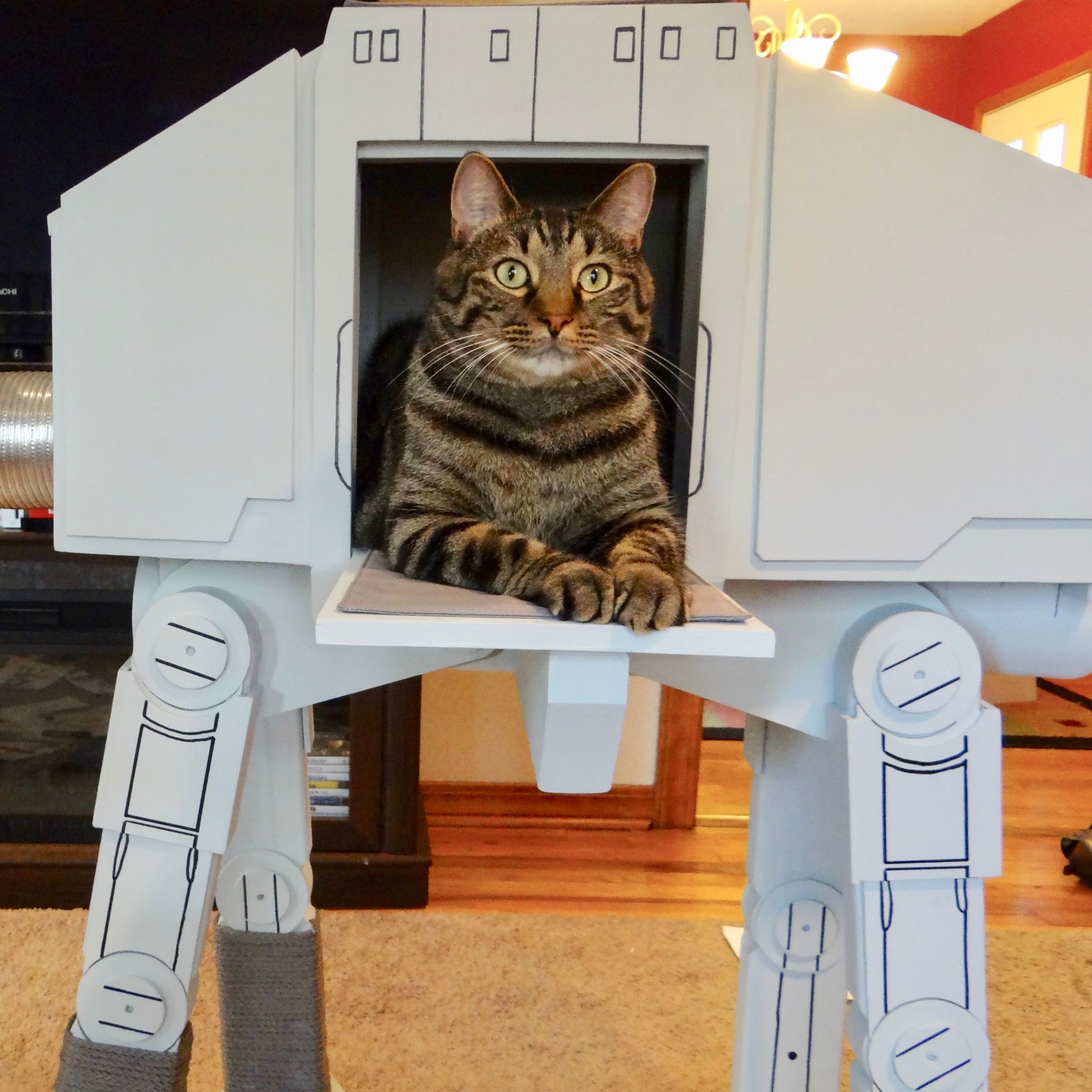 CAT-CAT : 13 Steps (with Pictures) - Instructables